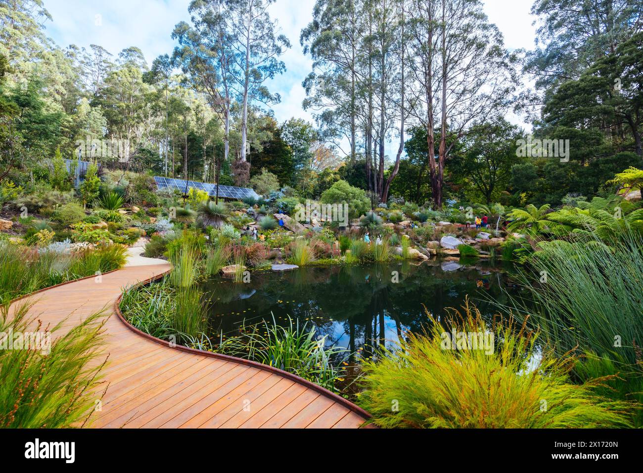 Dandenong Ranges Botanic Garden in Olinda Australia Stock Photo - Alamy