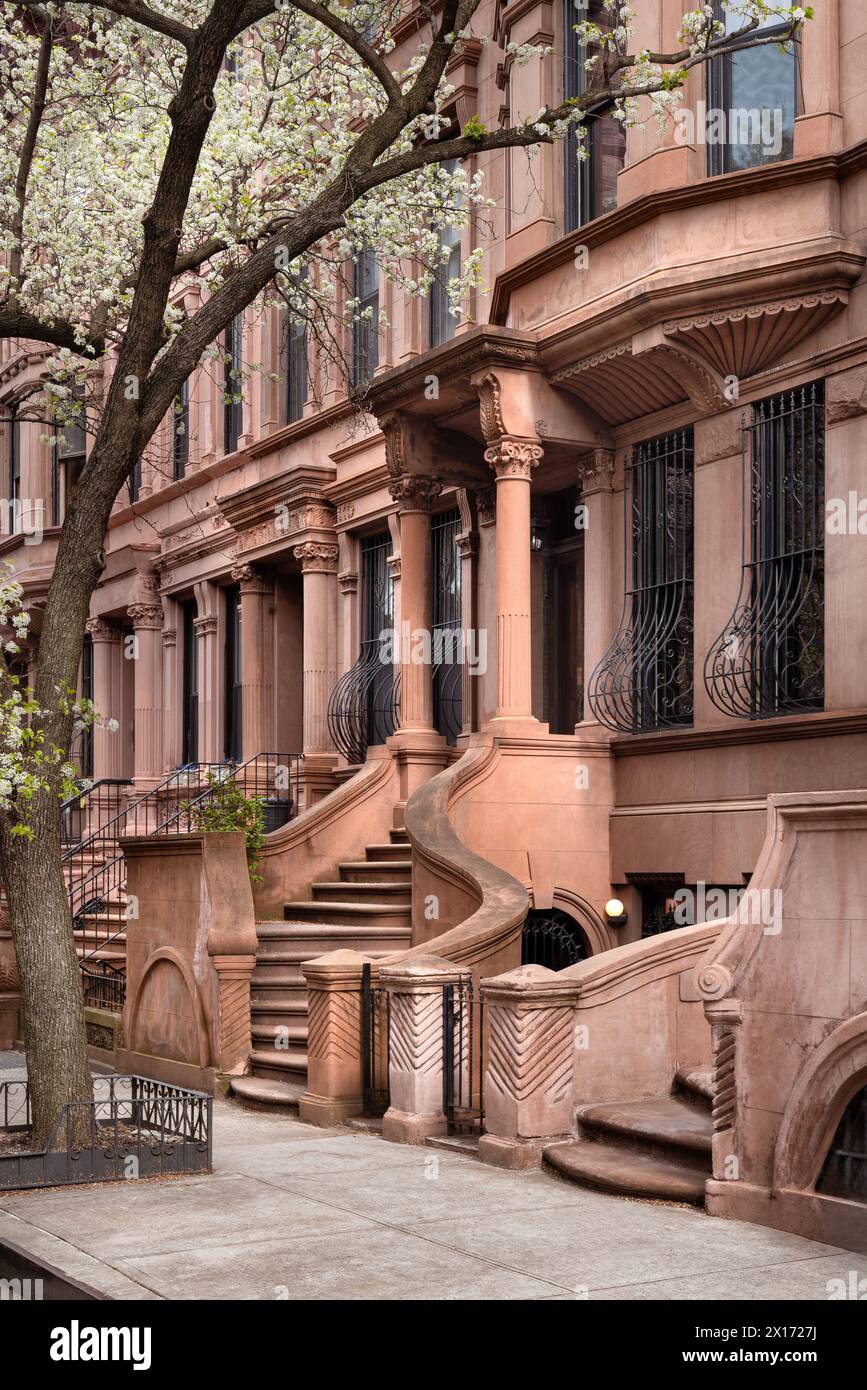 Harlem Brownstones and Townhouses with stoop steps in Mount Morris Park ...