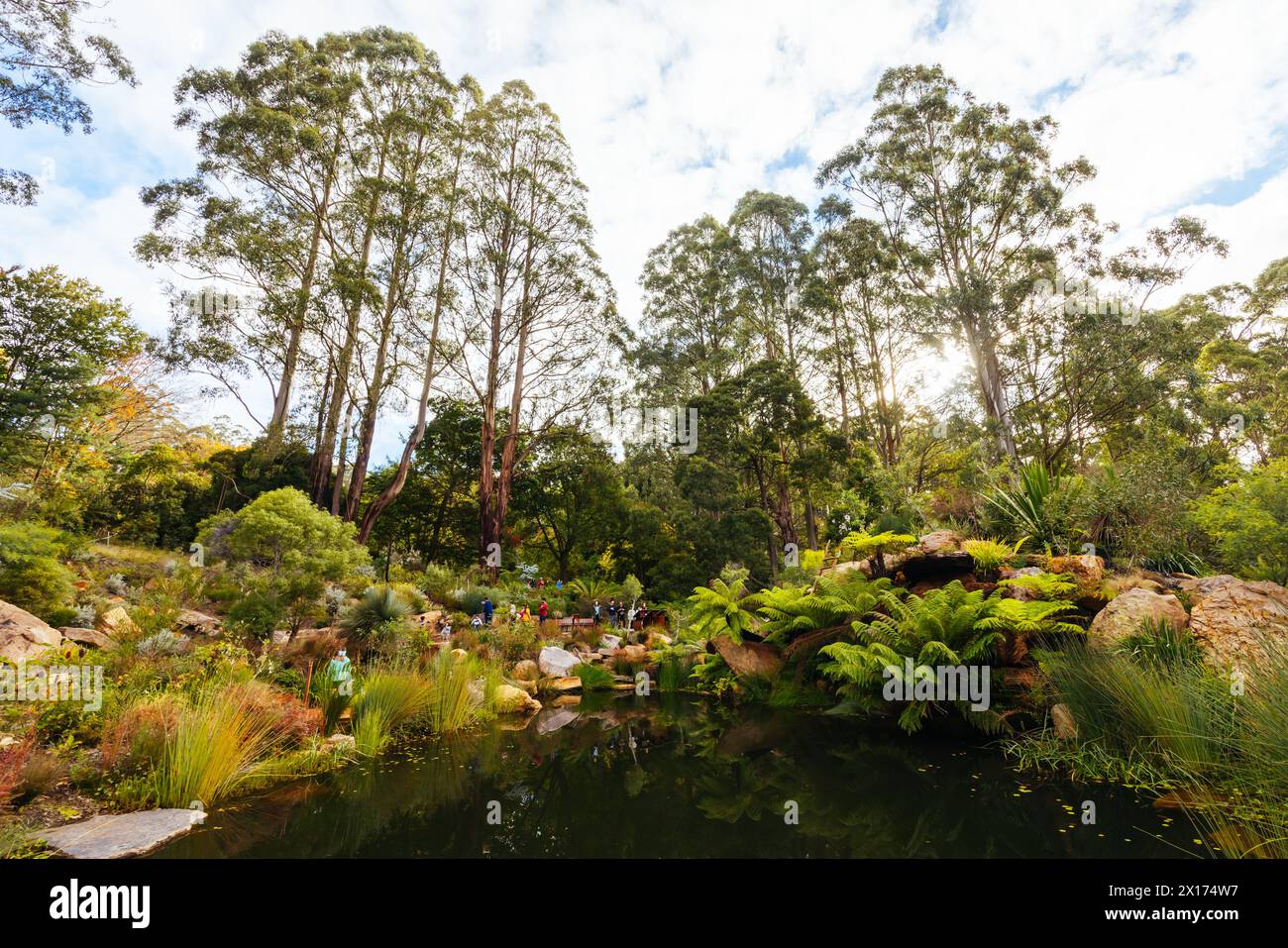 Dandenong Ranges Botanic Garden in Olinda Australia Stock Photo - Alamy