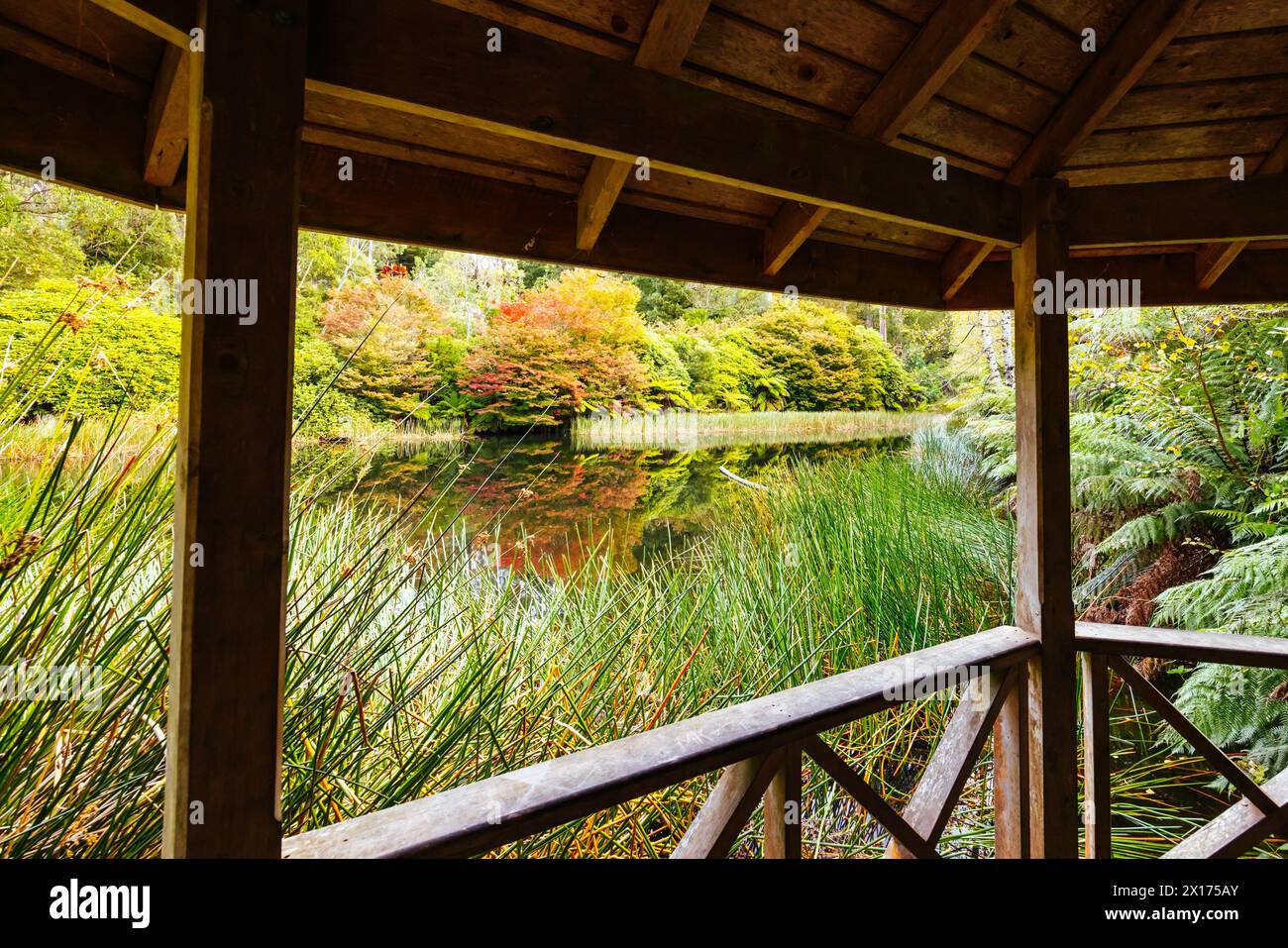 Dandenong Ranges Botanic Garden in Olinda Australia Stock Photo - Alamy