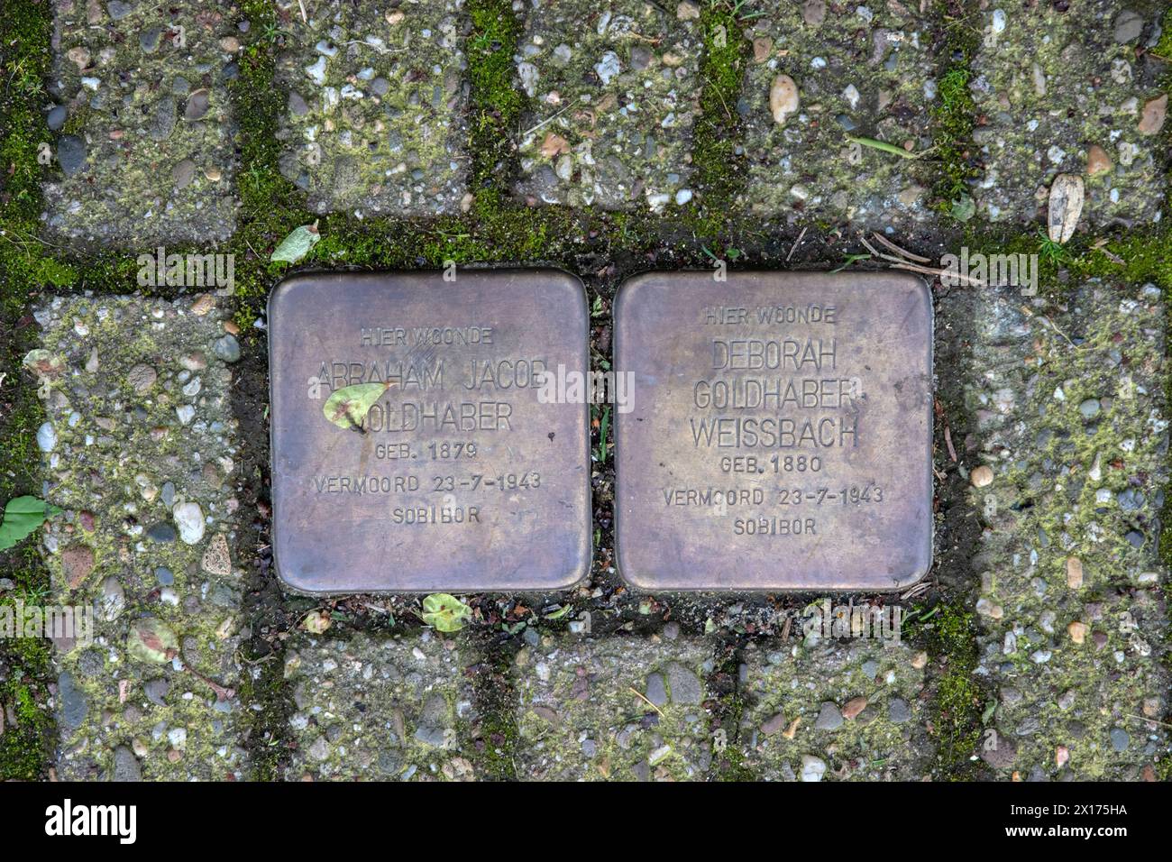 Stolperstein Memorial Stone From Family Goldhaber At Amsterdam The ...