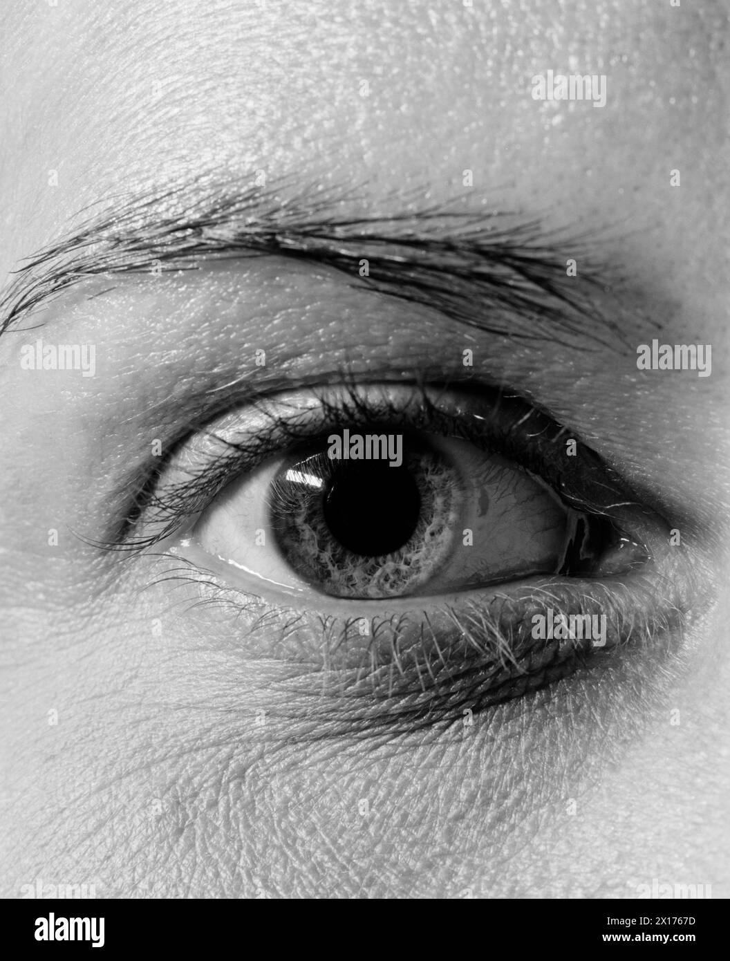 Eyelid stare Black and White Stock Photos & Images - Alamy