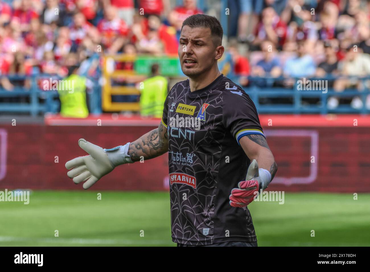 Rosa 2024 hi-res stock photography and images - Alamy