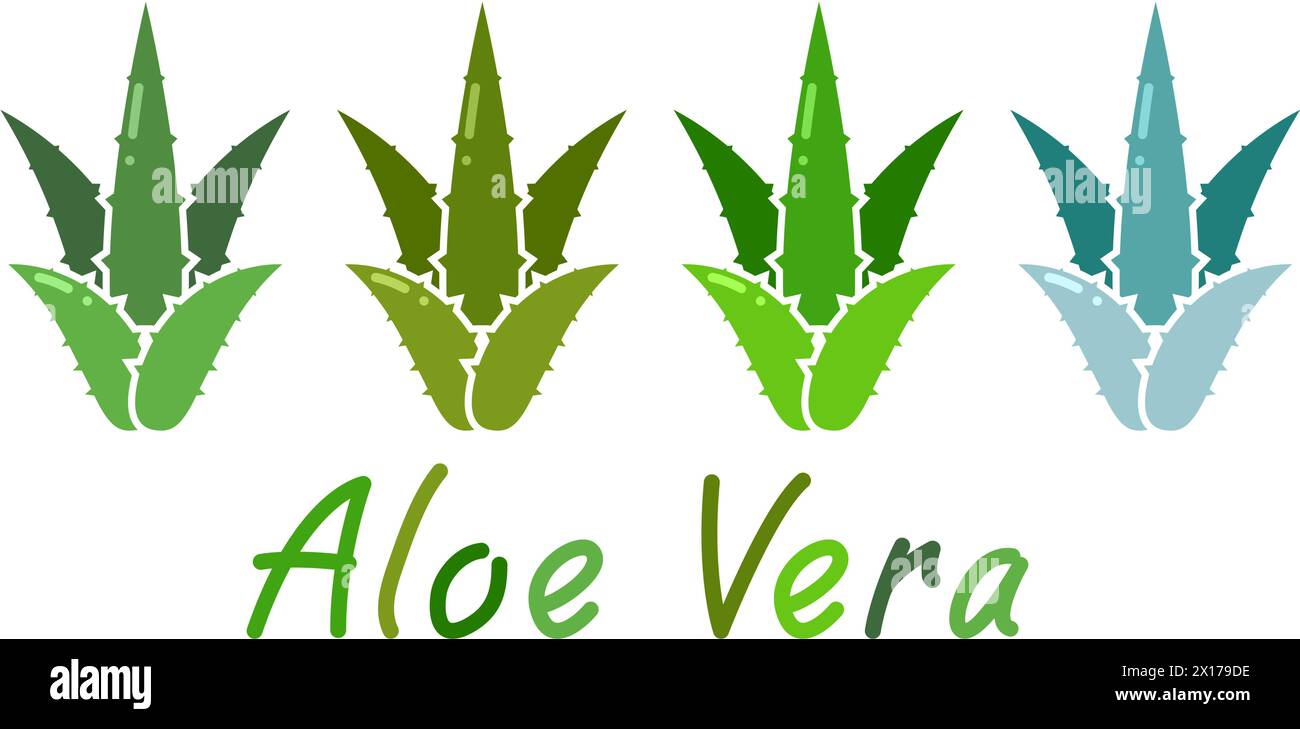 vector set of aloe vera plant icons isolated on white background ...