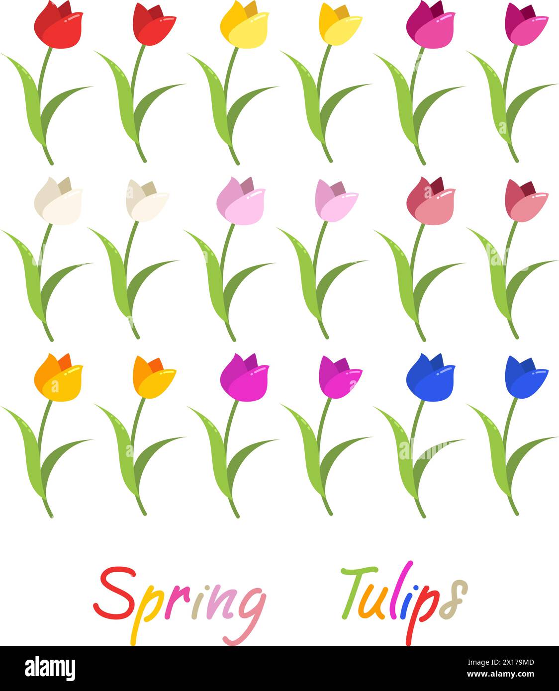 vector set of colorful tulip graphic drawings isolated on white ...