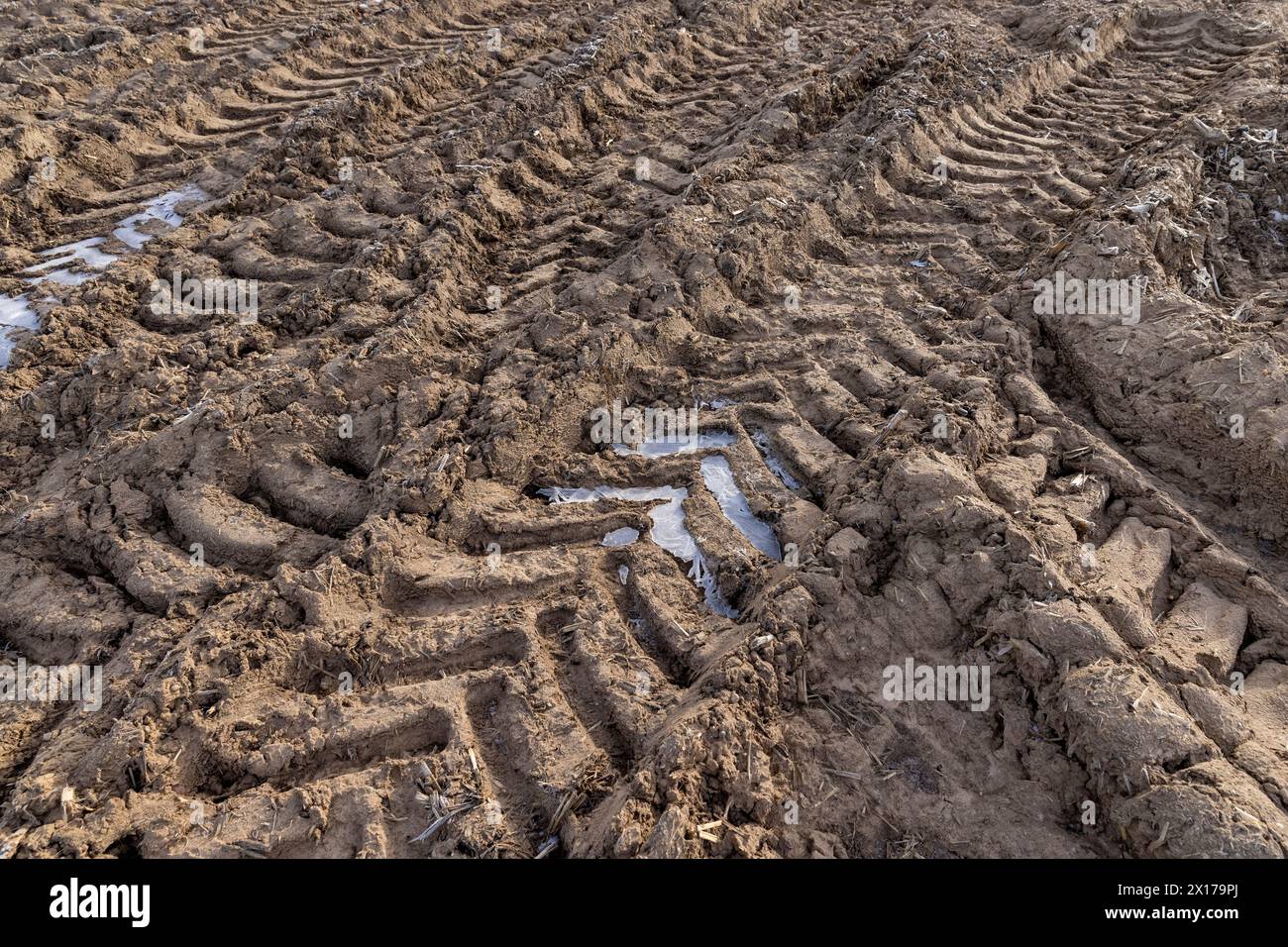car tracks off-road in the field, deep car tracks on the ground in ...