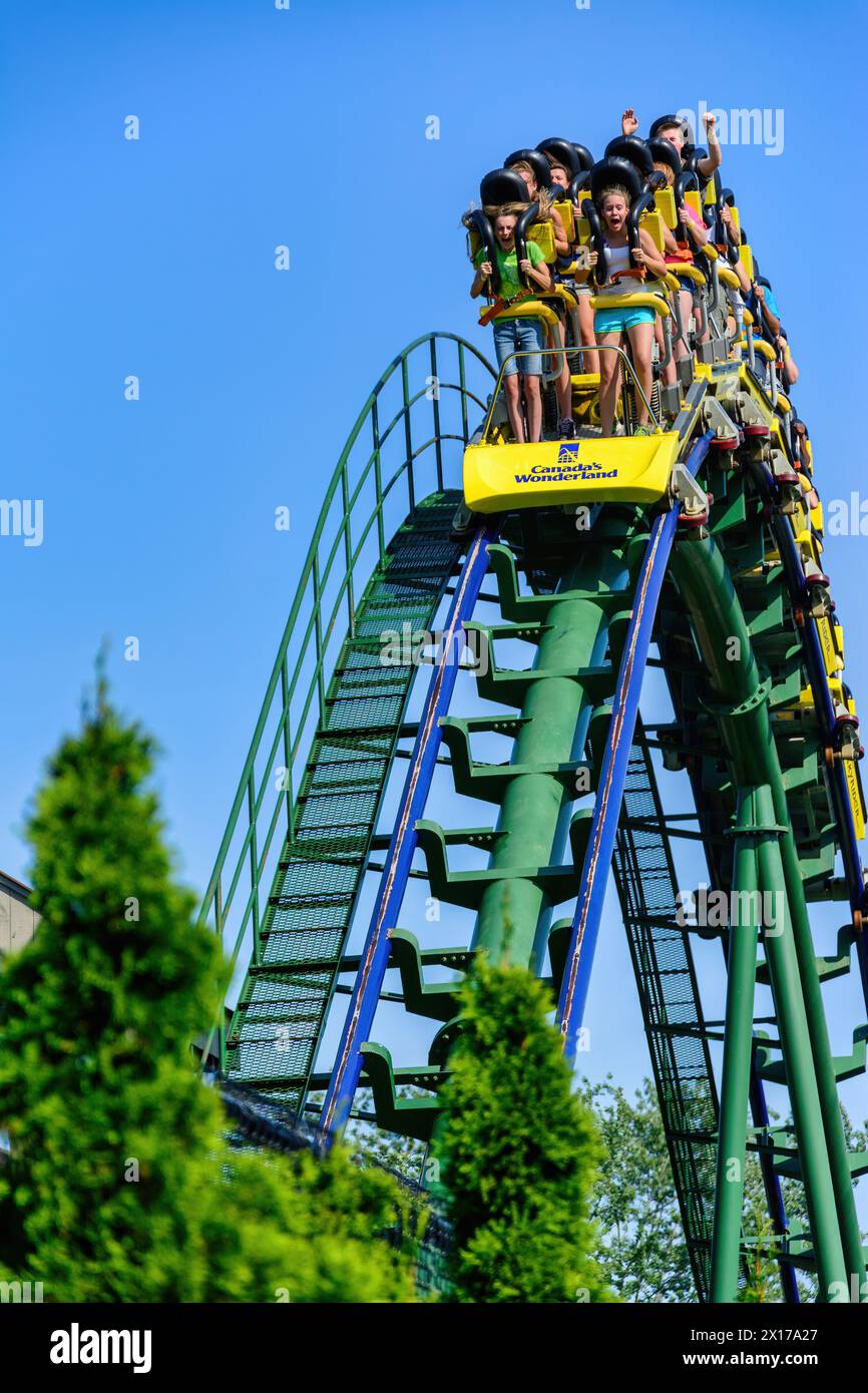 Wonderland roller coaster hi-res stock photography and images - Alamy