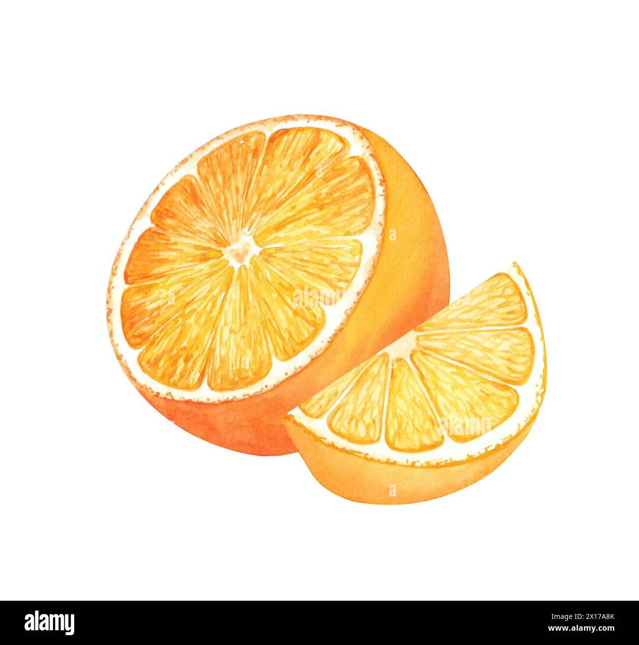 Orange fruits half and slice isolated on white background. Watercolor ...