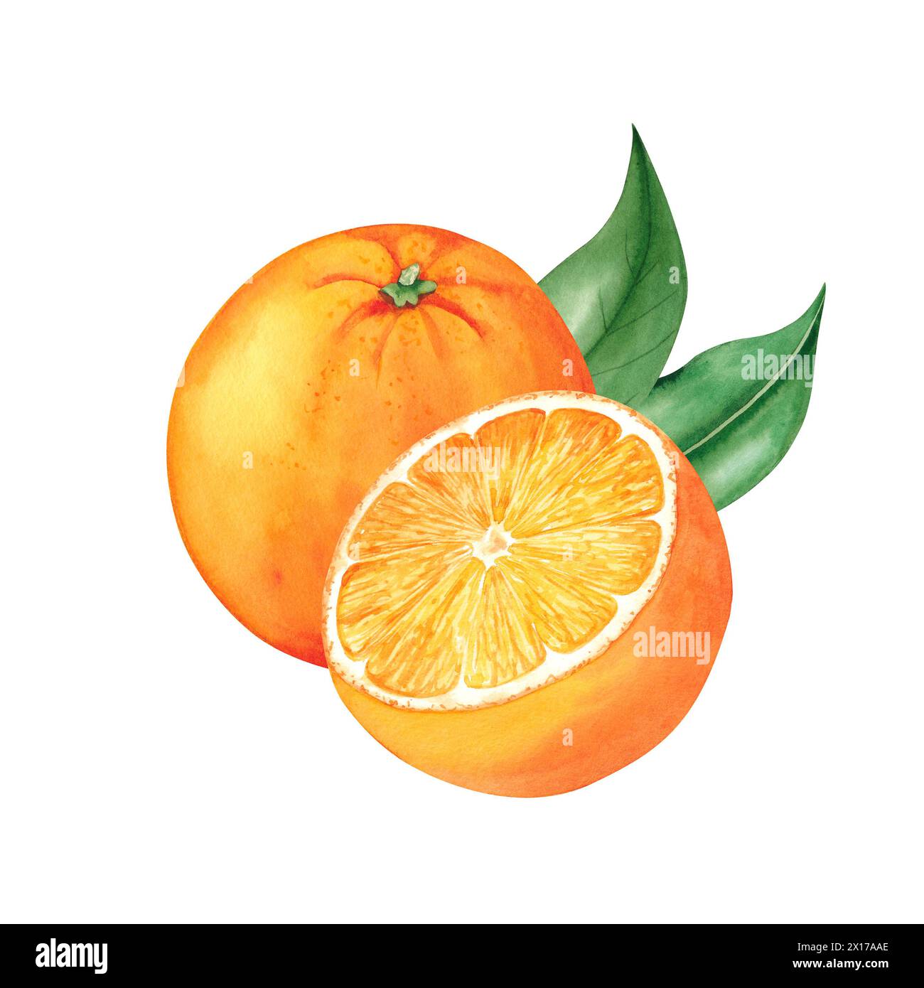 Realistic fruit label orange Cut Out Stock Images & Pictures - Alamy