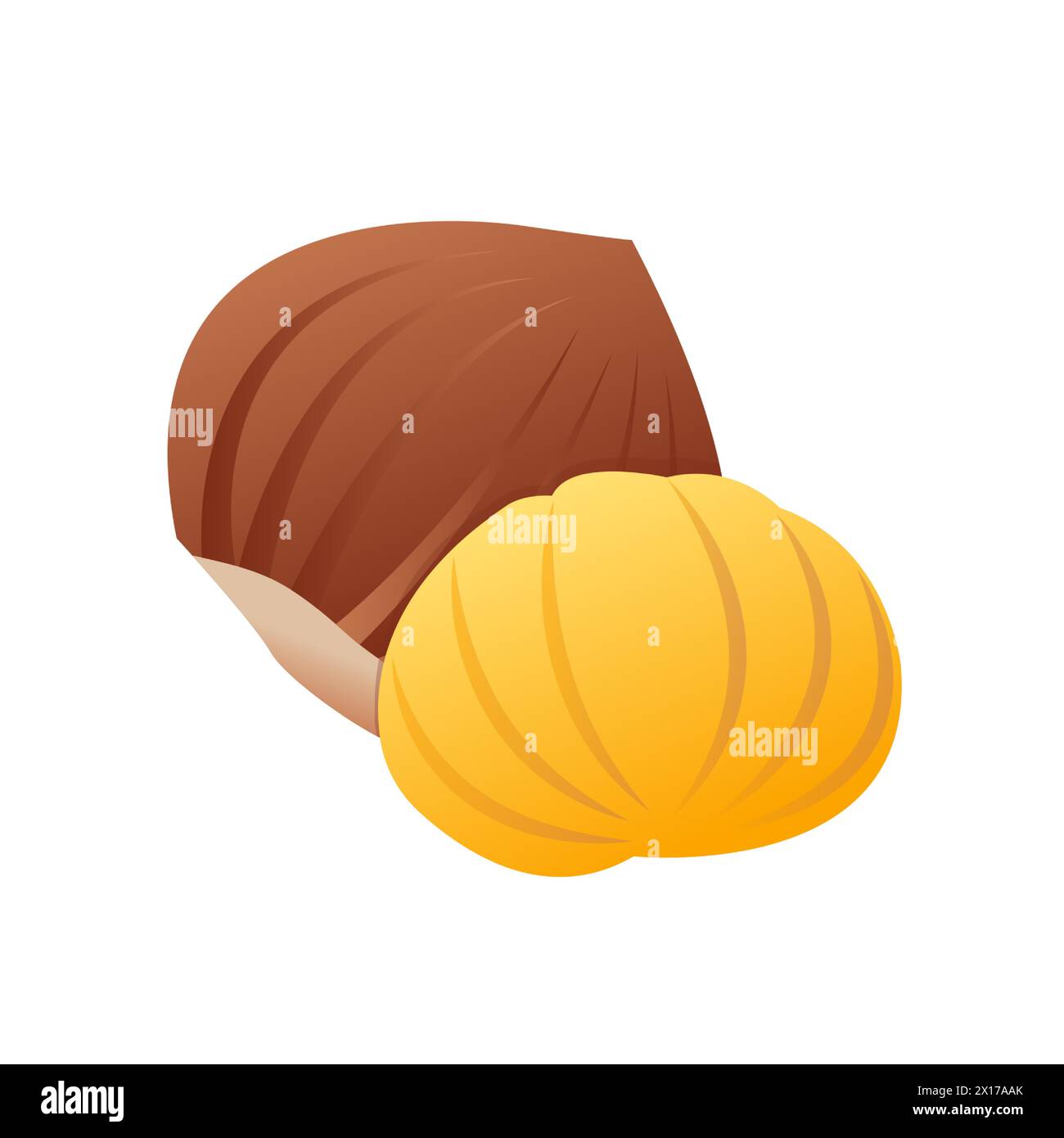 Nature food nuts chestnut cartoon vector isolated illustration Stock ...
