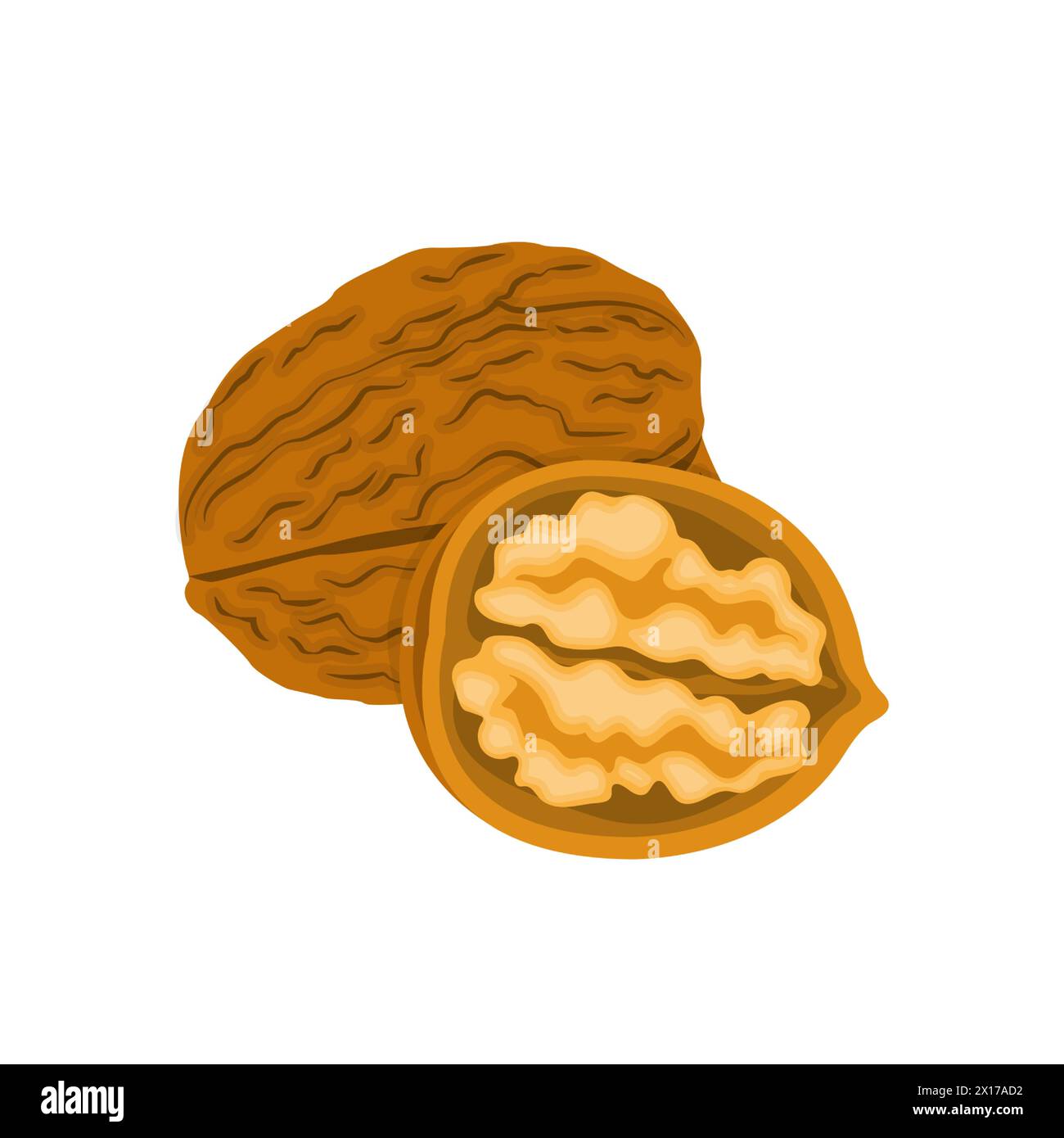 Nature food nuts walnut cartoon vector isolated illustration Stock Vector Image & Art - Alamy