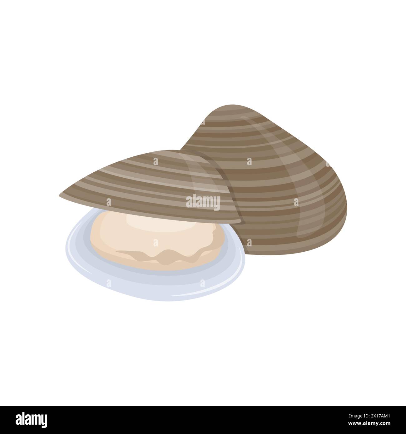 Fresh seafood ingredient clams cartoon vector isolated illustration ...