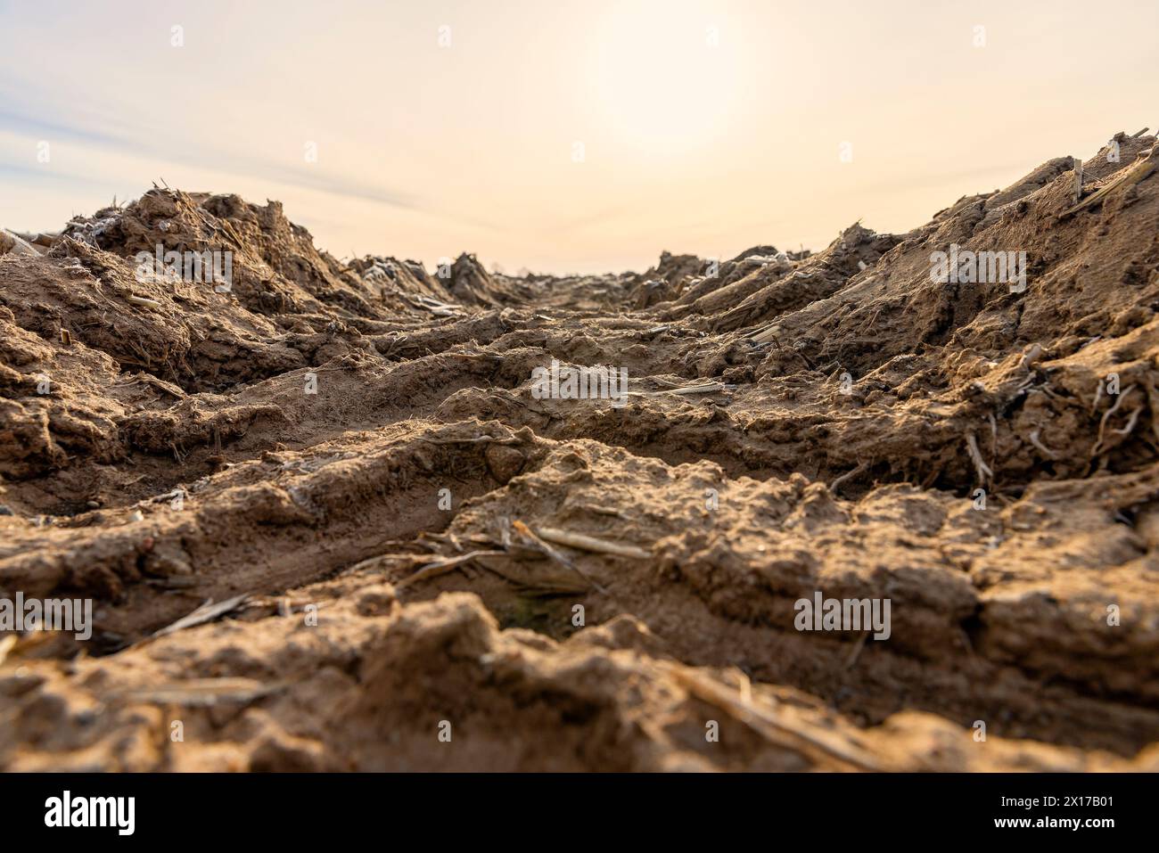 car tracks off-road in the field, deep car tracks on the ground in ...