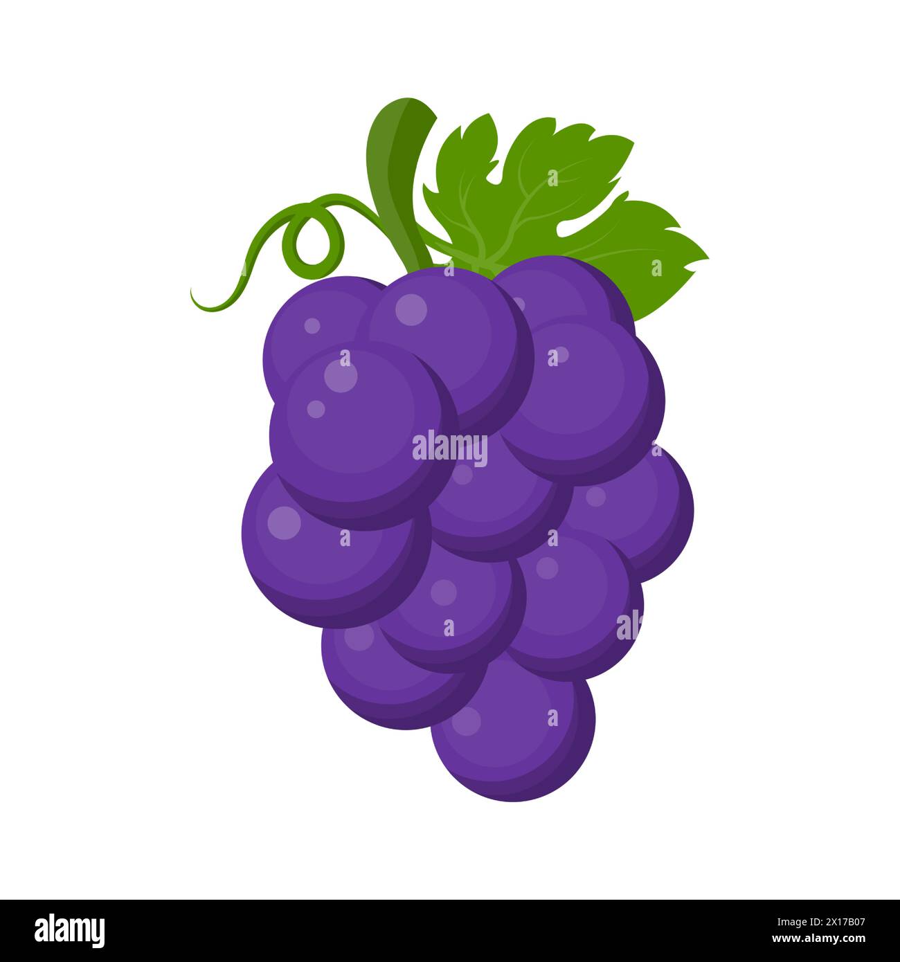 Fresh fruit purple grape with green leaf vine cartoon vector isolated ...
