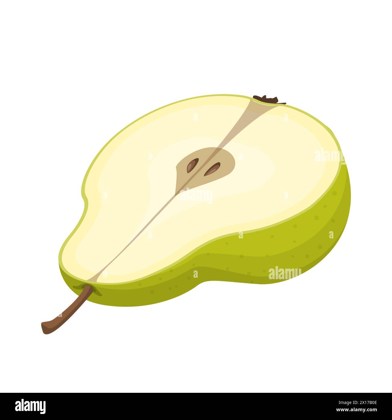 Fresh fruit half sliced green pear cartoon vector isolated illustration ...