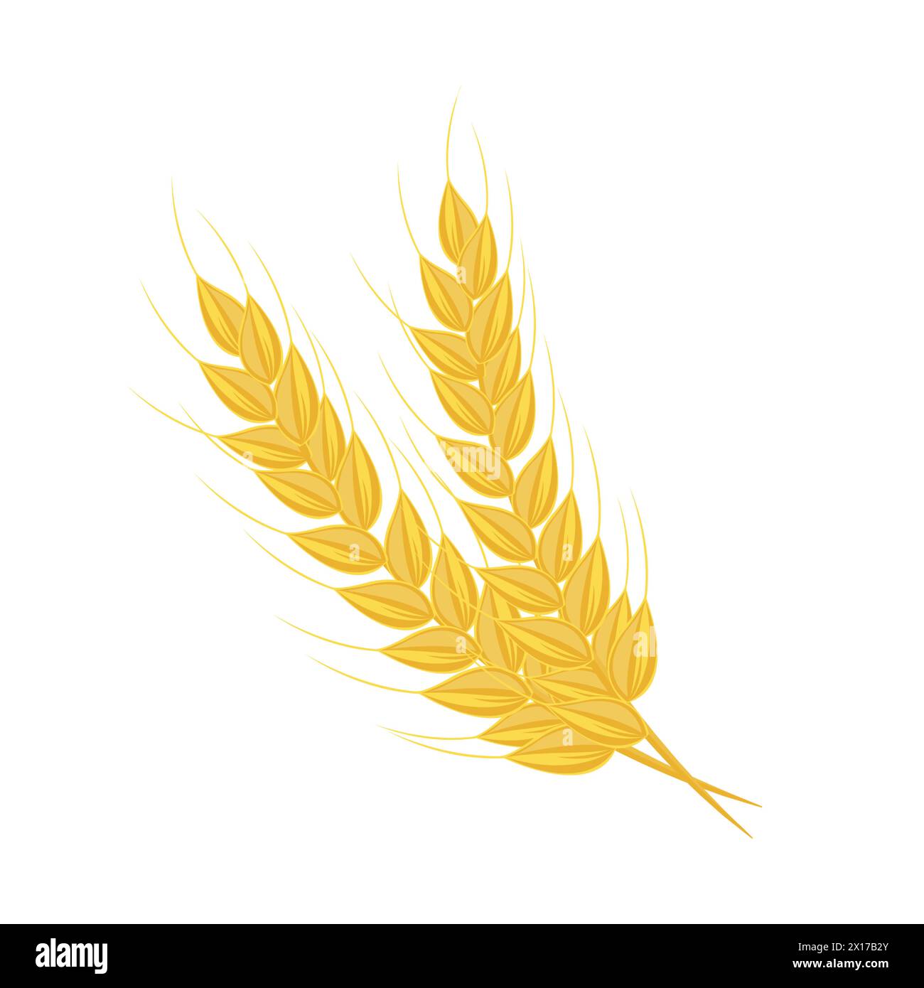 Nature food ingredient wheat spike cartoon vector isolated illustration ...