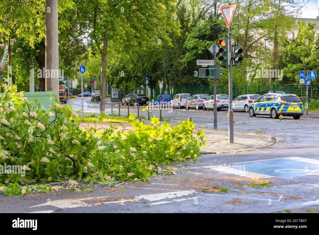 Ein Sturmtief hat am Mittag über Bonn für zahlreiche Einsätze für ...