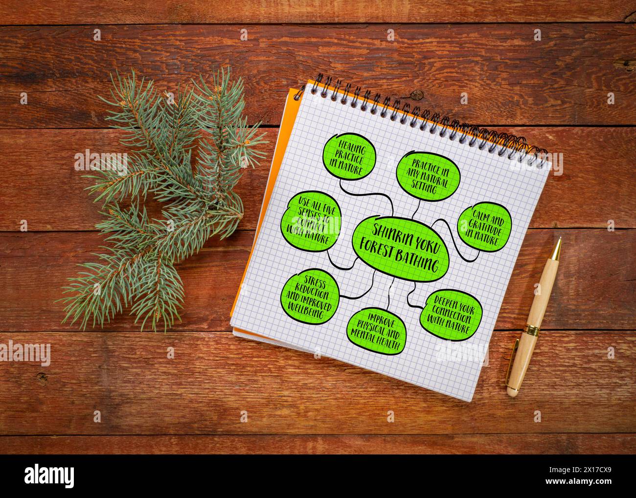 Japanese concept of shinrin yoku, forest bathing, the practice of ...