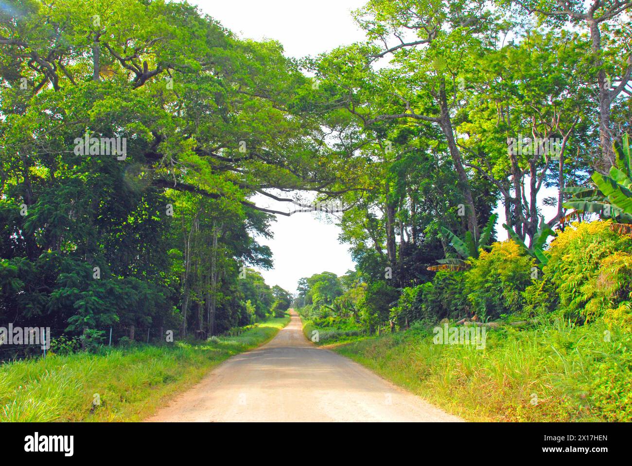 Rural island road hi-res stock photography and images - Alamy