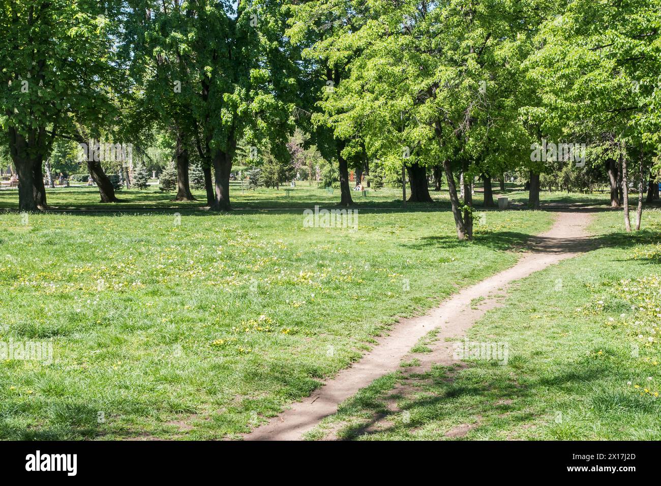 City park path view hi-res stock photography and images - Alamy