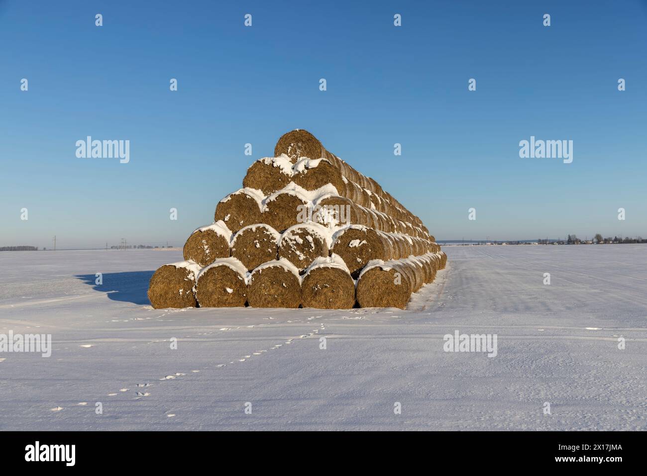snow-covered straw stacks , winter landscape with straw in stacks after ...