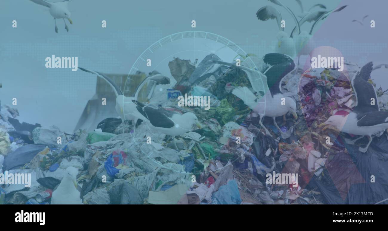 Image of data processing over rubbish dump Stock Photo - Alamy