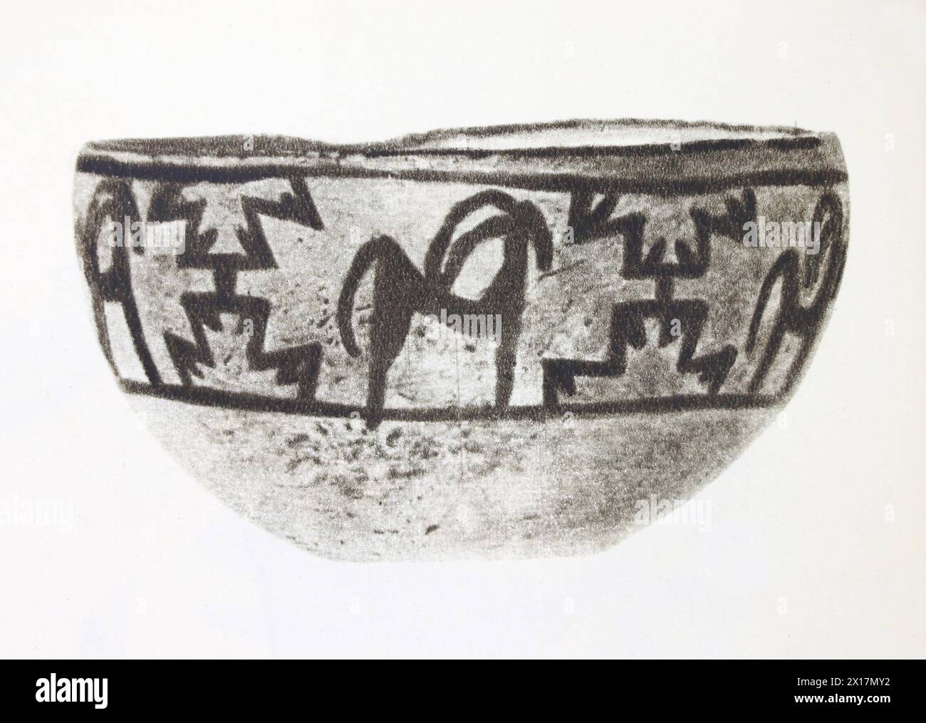 Vessel element hi-res stock photography and images - Alamy