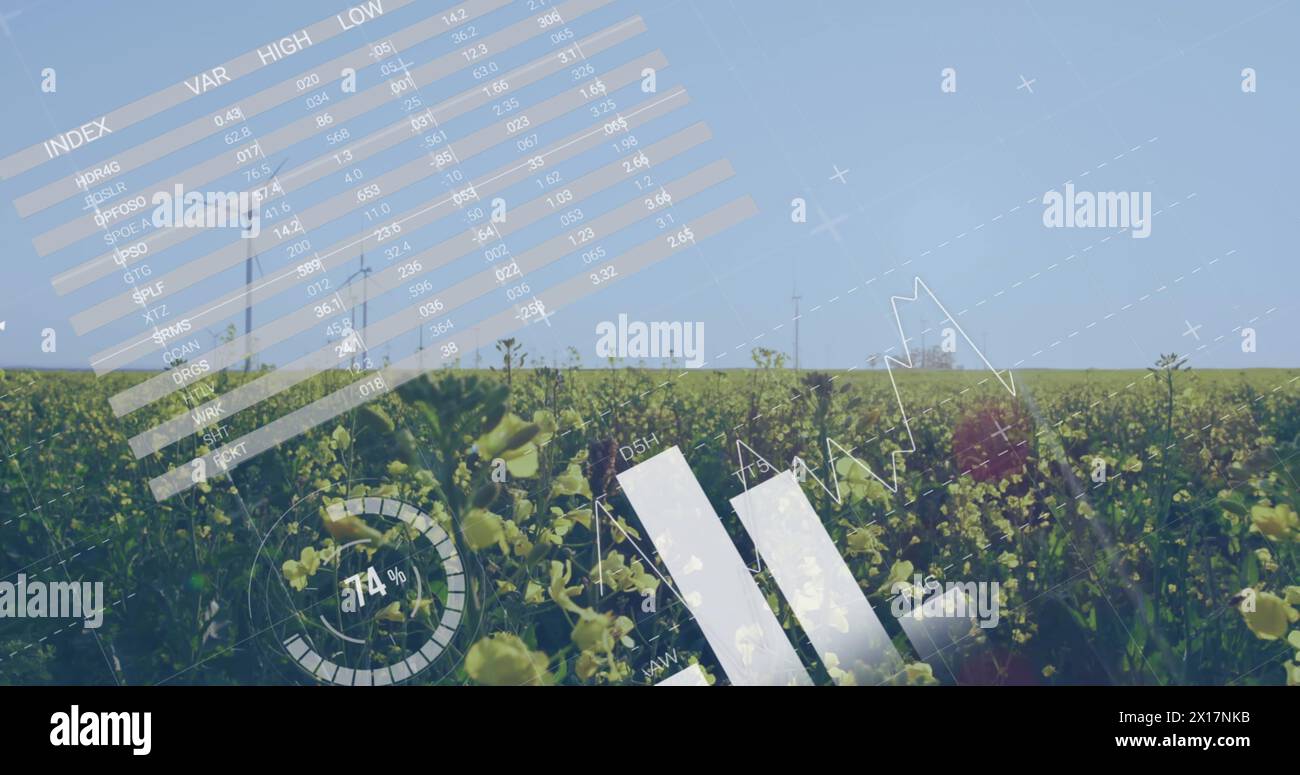 Image of multiple graphs and data with flared light moving over lush ...