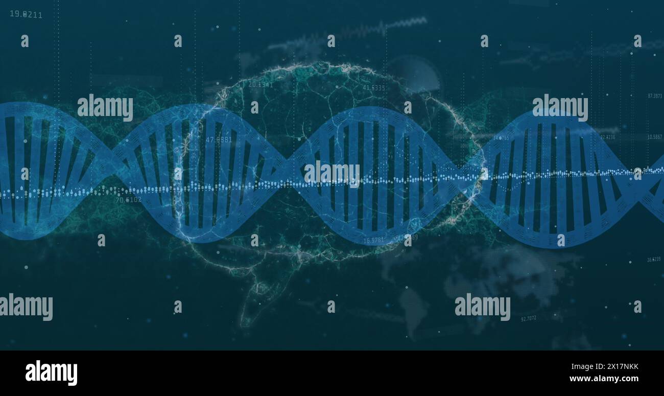 Image of dna strand spinning over human brain and data processing Stock ...