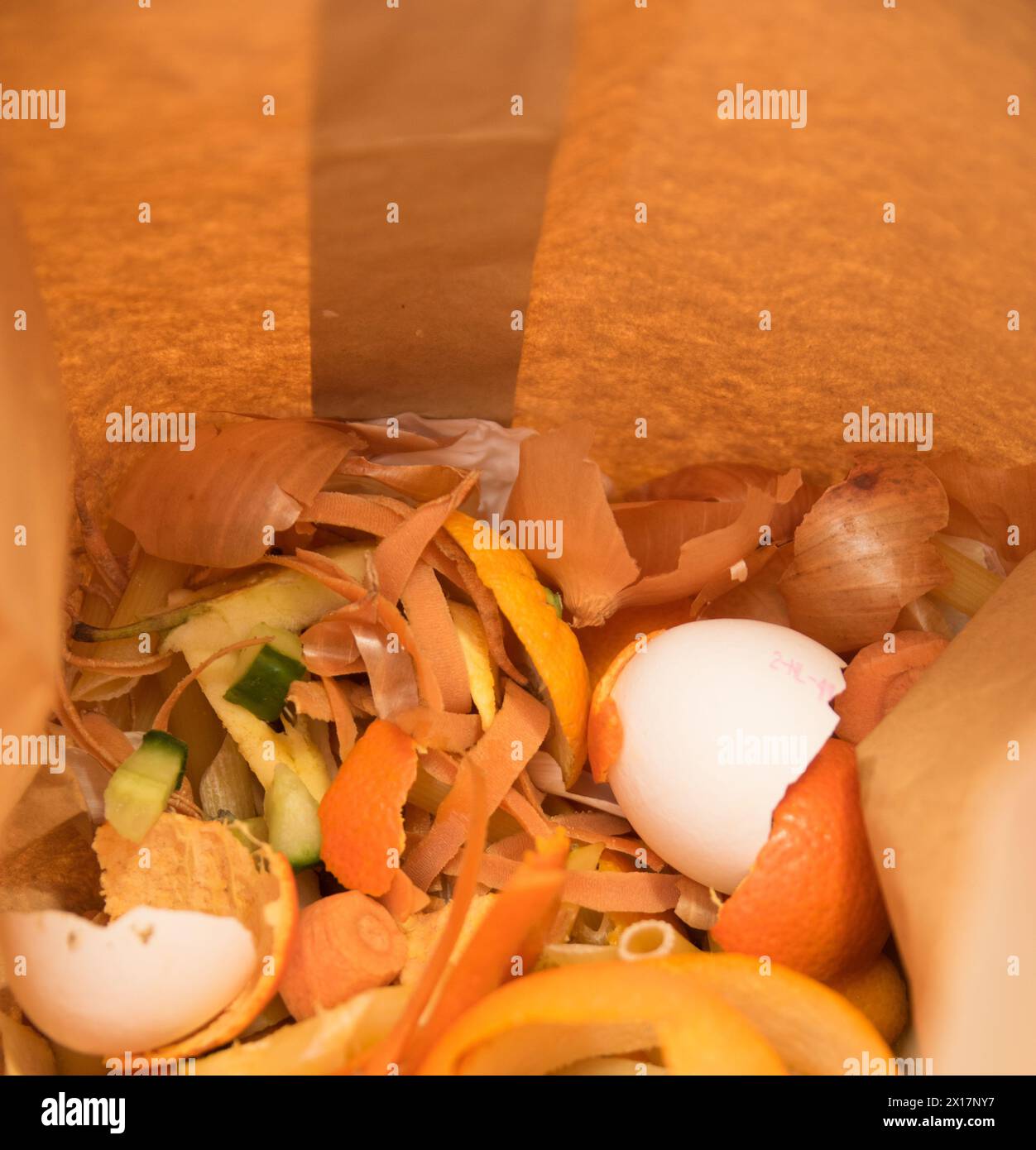 Paper bio bag for domestic food garbage. Compost waste Stock Photo - Alamy