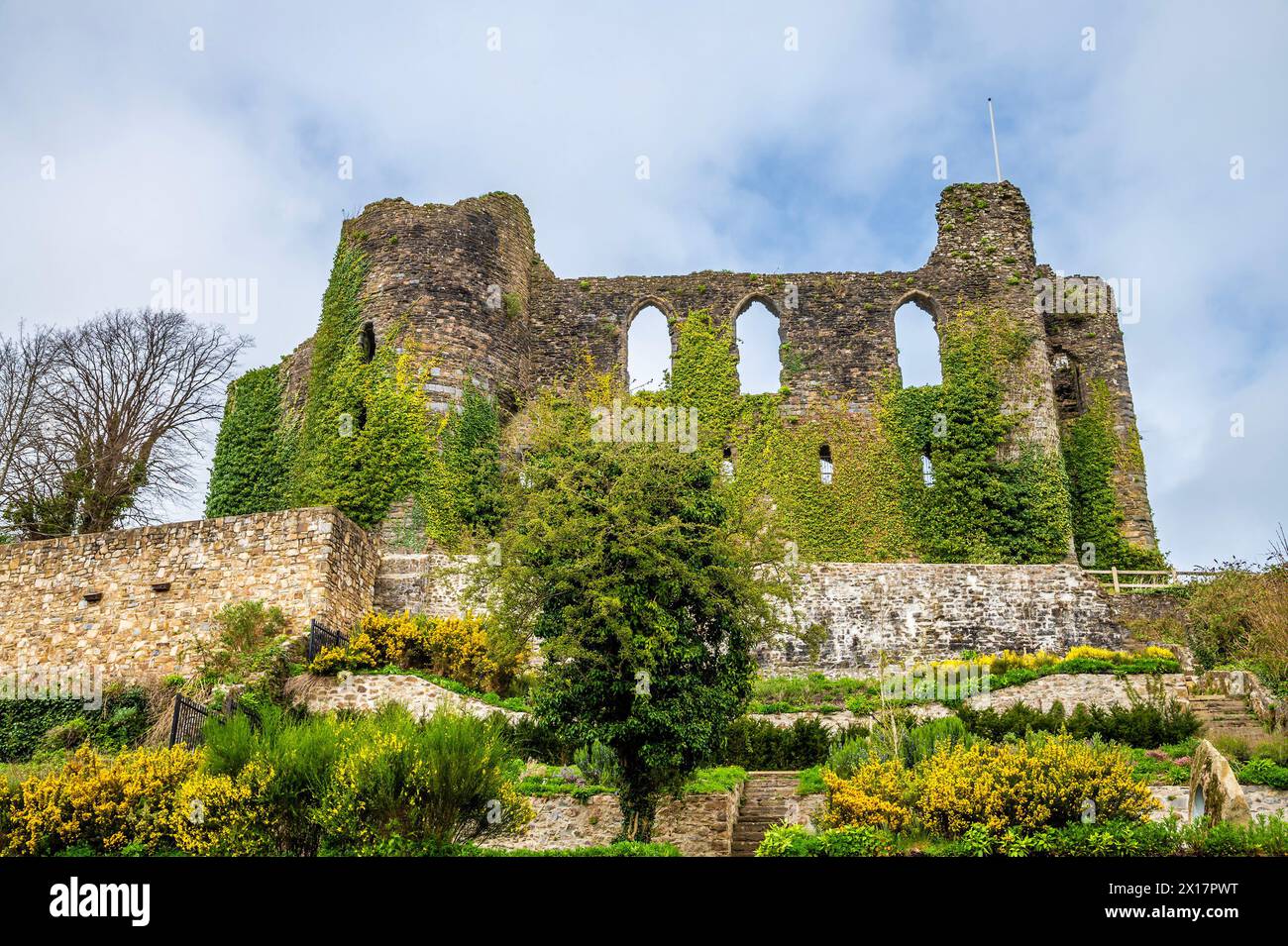 A view looking up at the castle ruins above the River Cleddau in ...