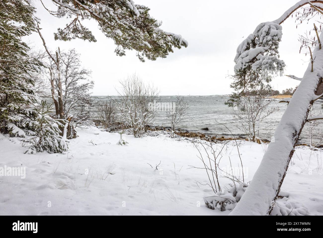 nordic landscape with snow, sweden, water, ice beach and shore Stock ...