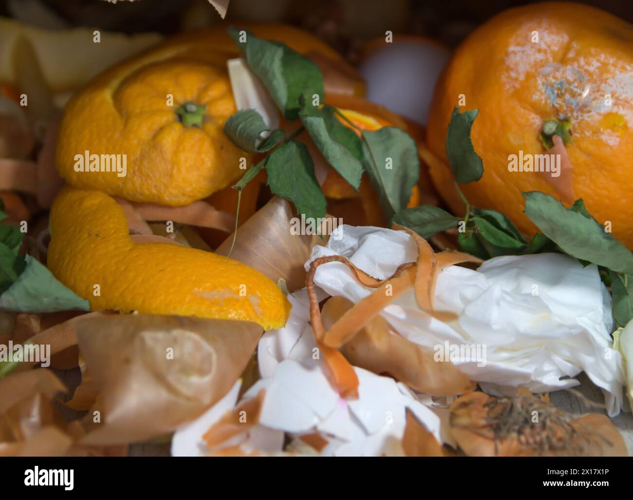 Paper bio bag for domestic food garbage. Compost waste Stock Photo - Alamy