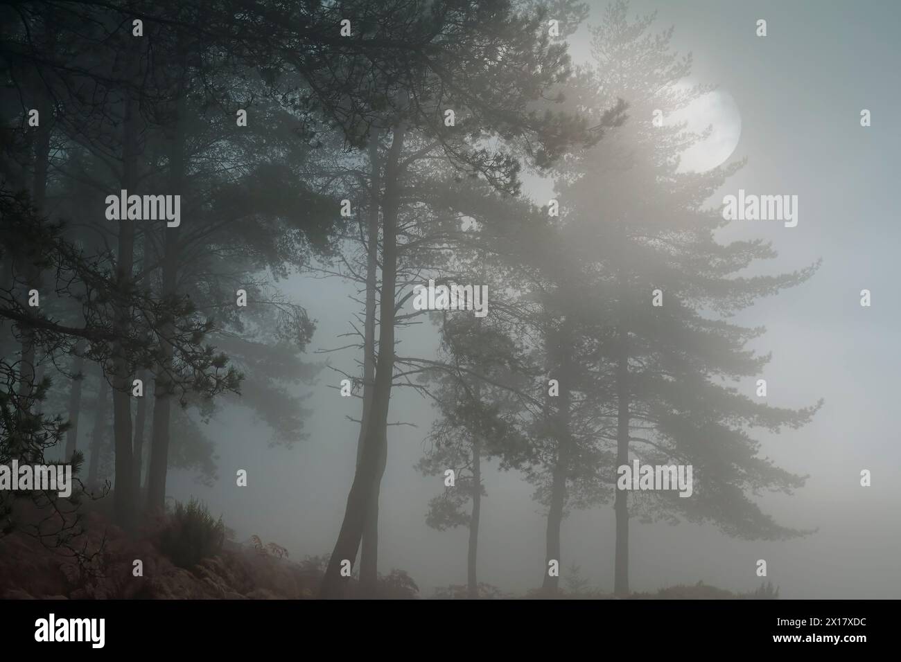 Rain full moon hi-res stock photography and images - Alamy