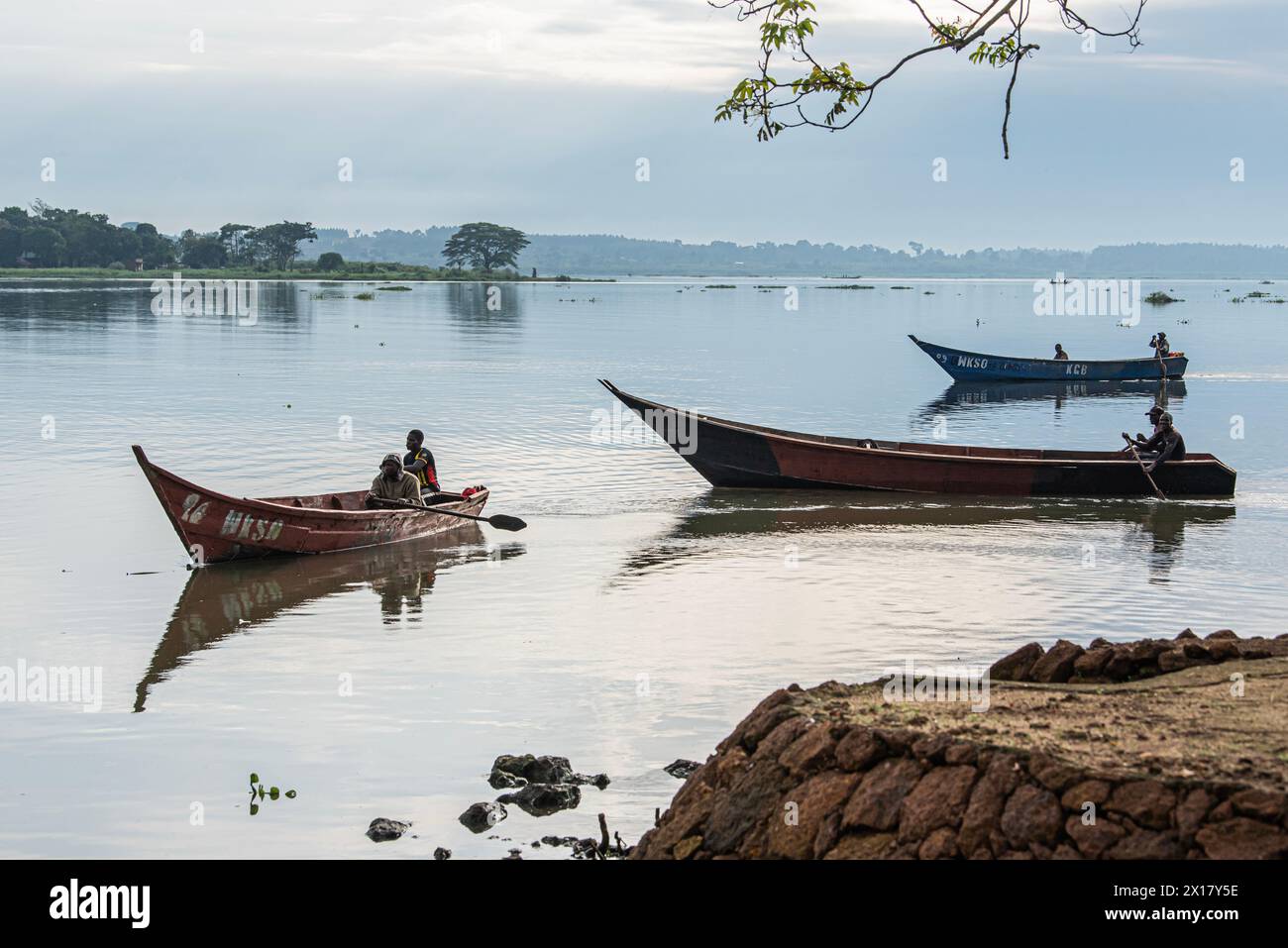 Amidst the lush greenery of Uganda's African landscape, canoeists ...