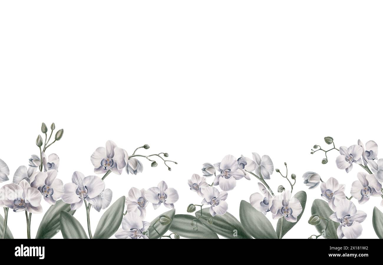 White orchid flowers seamless banner to decorate your themed printables ...