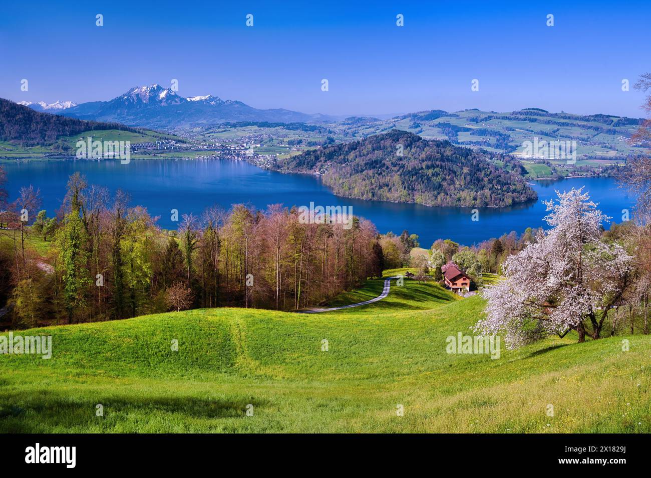 View of Lake Zug with Chiemen peninsula, behind it Mount Pilatus ...