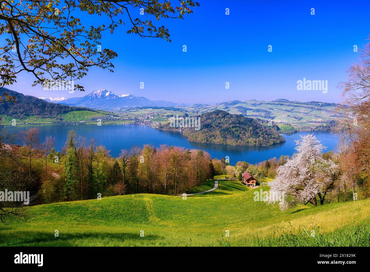 View of Lake Zug with Chiemen peninsula, behind it Mount Pilatus ...