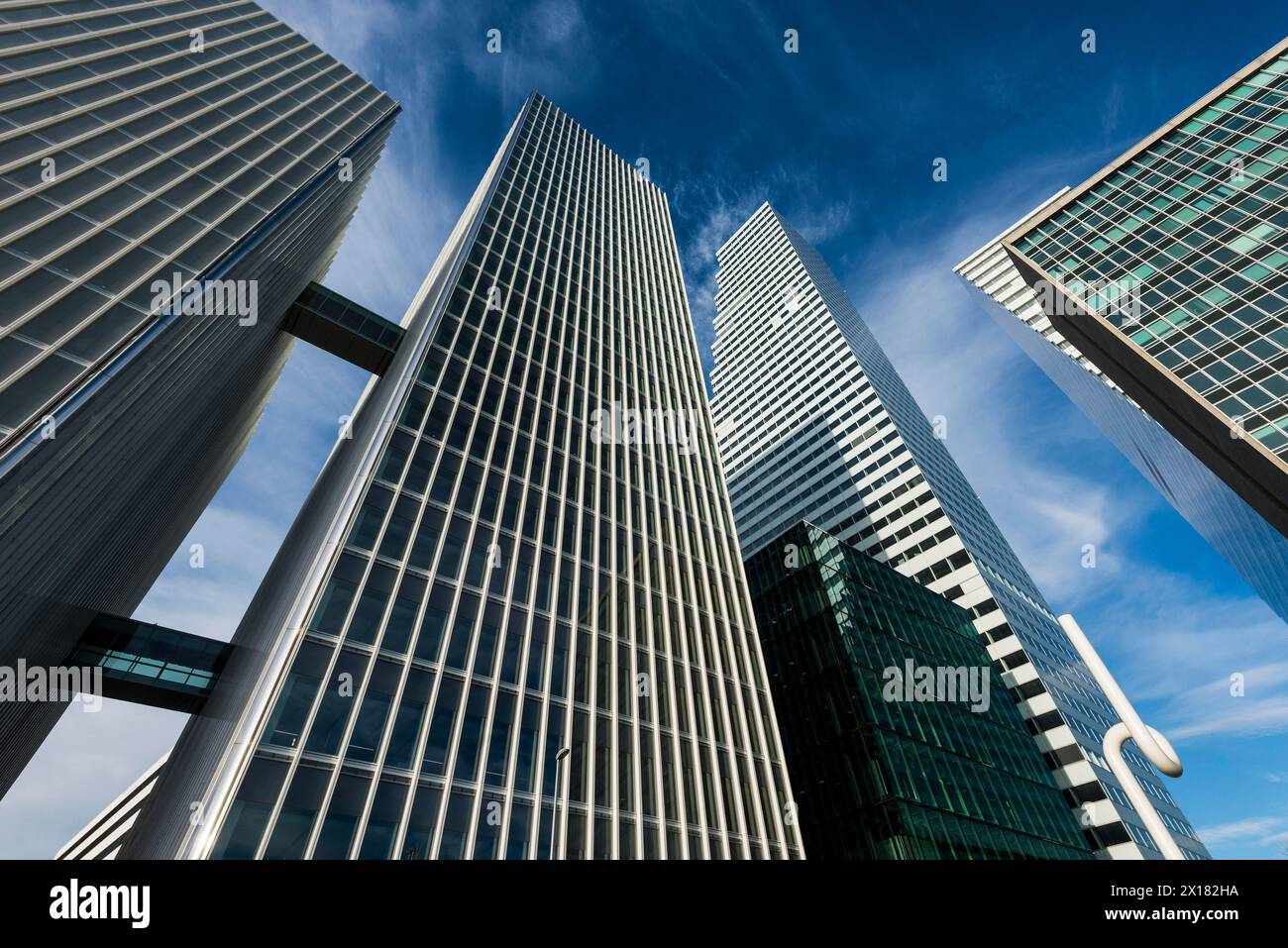 Modern architecture, high-rise buildings, Roche Towers, architects ...