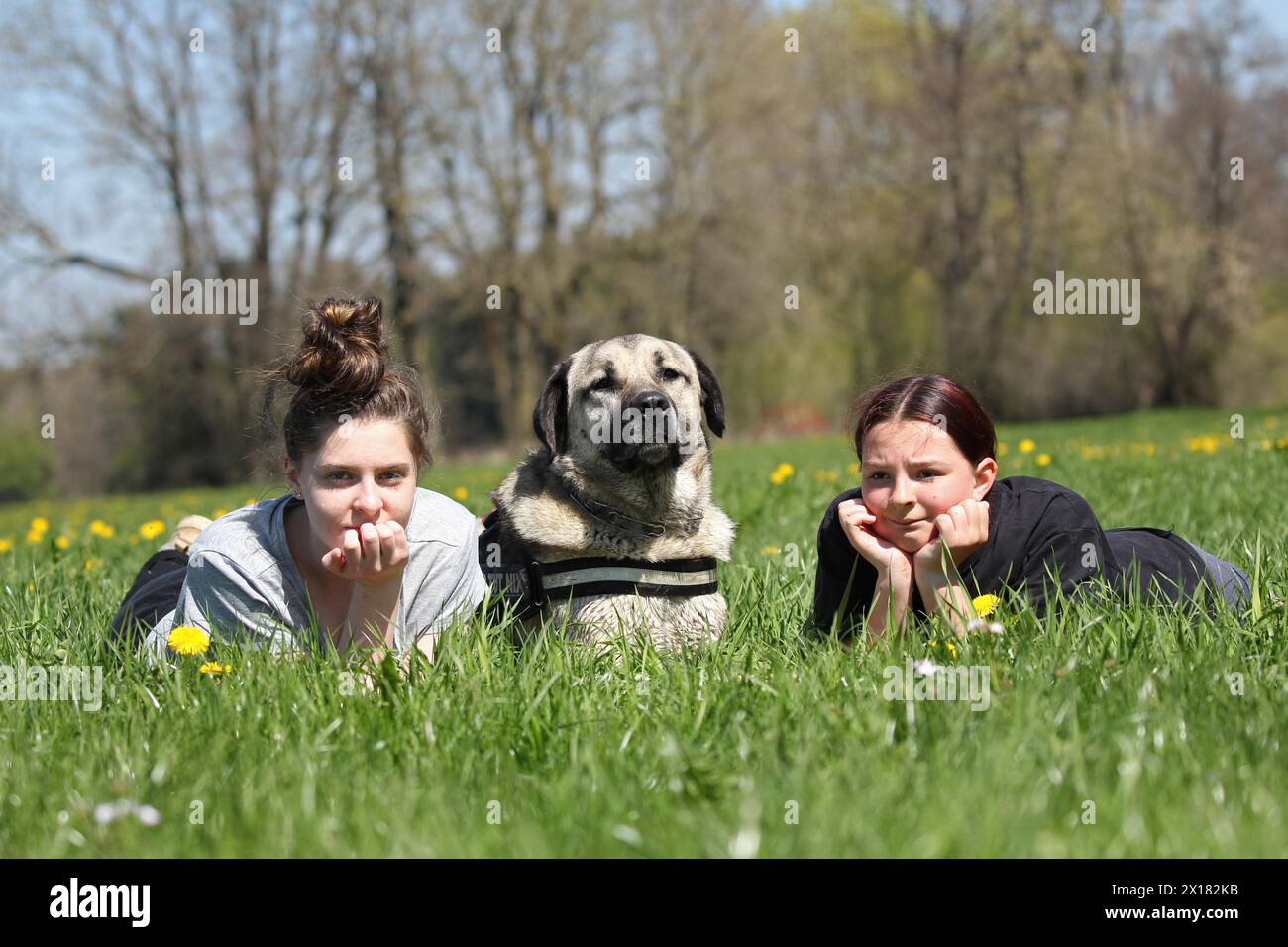 Two girls one dog hi-res stock photography and images - Alamy