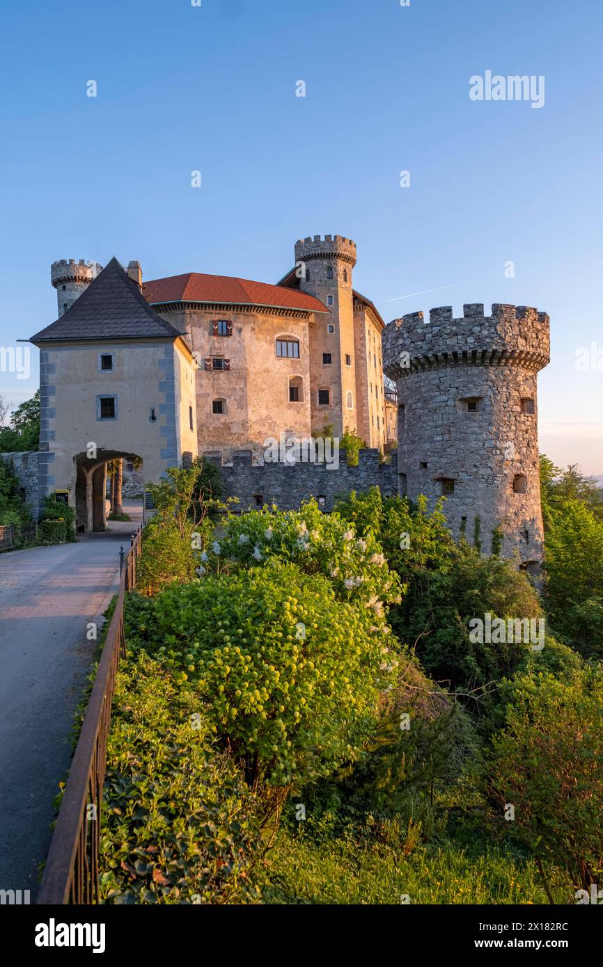 Plankenstein Castle, Texingtal, Mostviertel, Lower Austria, Austria Stock Photo - Alamy