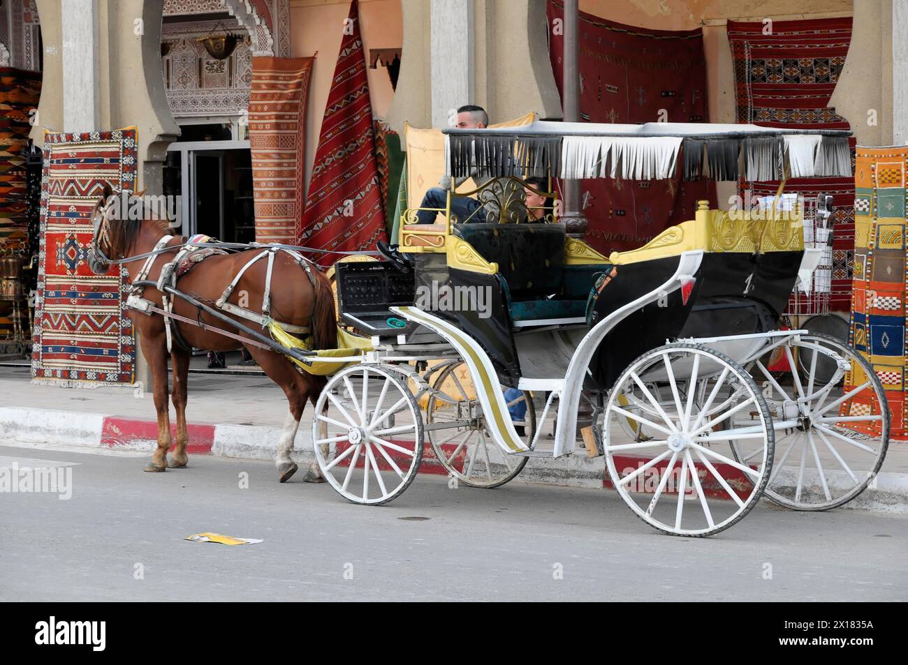 Meknes, horse-drawn carriage on standby in front of colourfully ...