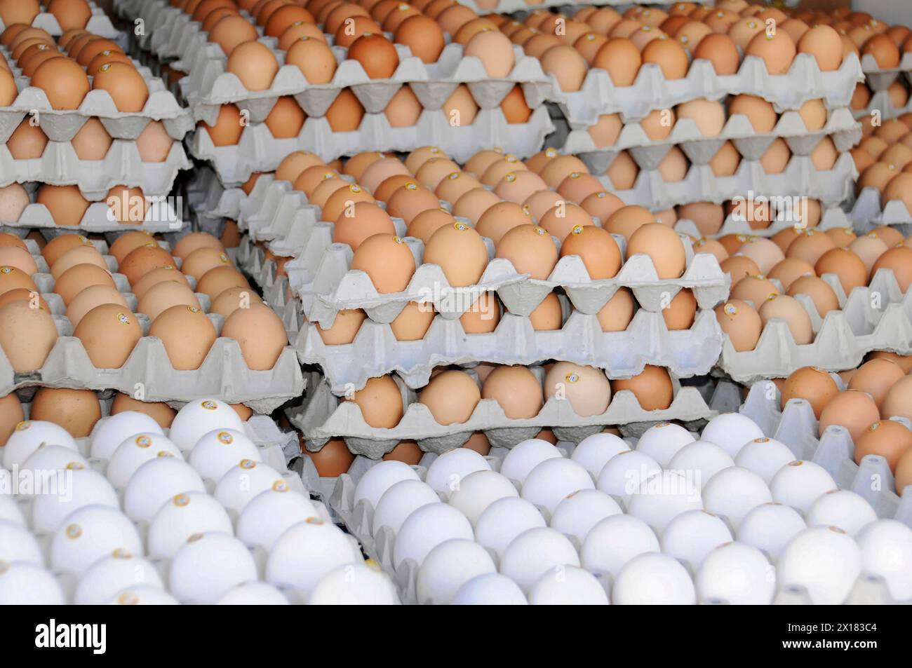 Market Leon Nicaragua, Many eggs in cartons, partly white and partly ...