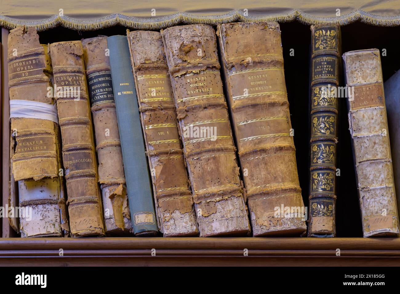 Old books on bookshelf in ancient Palatina Library in Parma, Italy ...