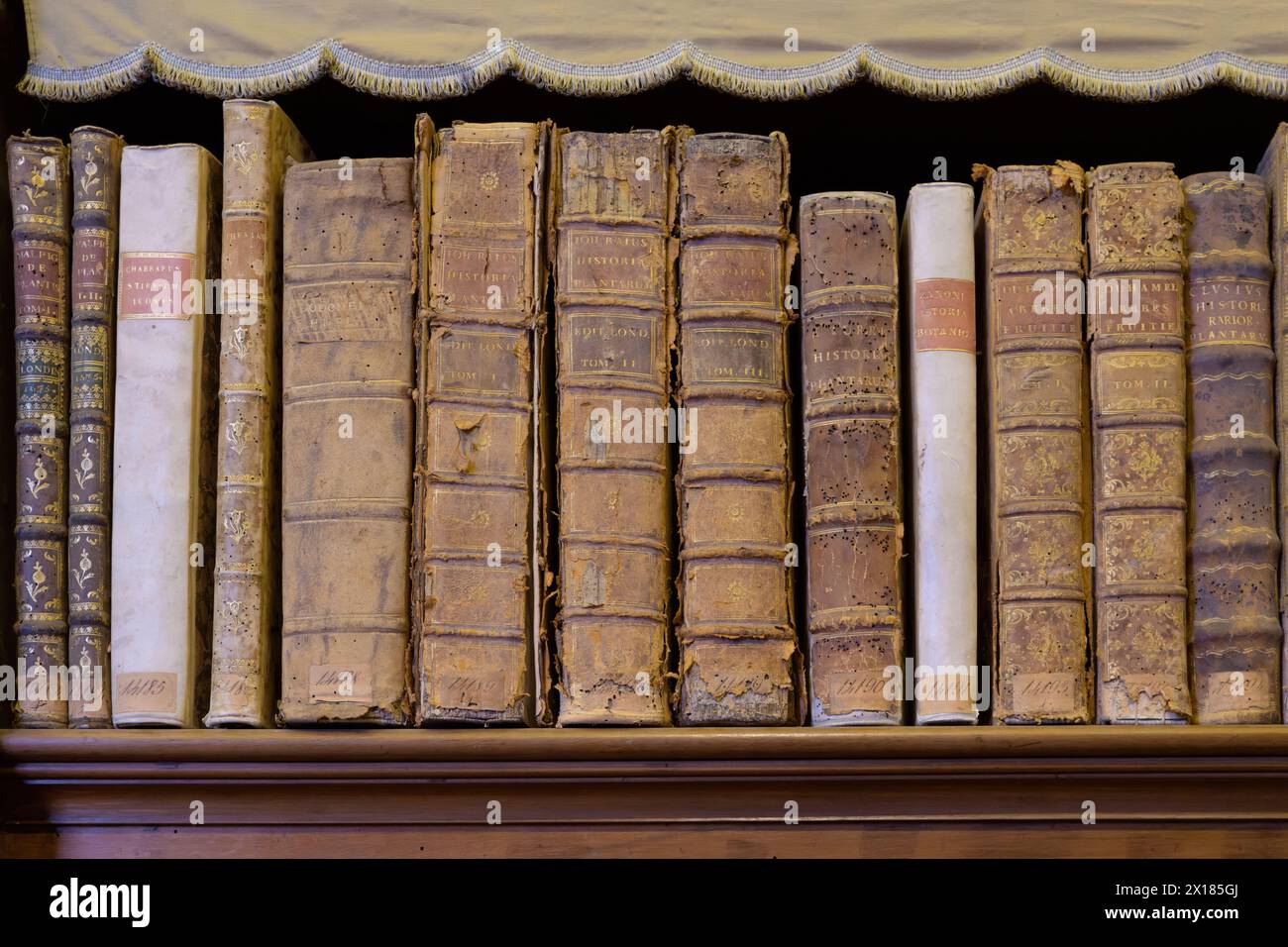 Old books on bookshelf in ancient Palatina Library in Parma, Italy ...