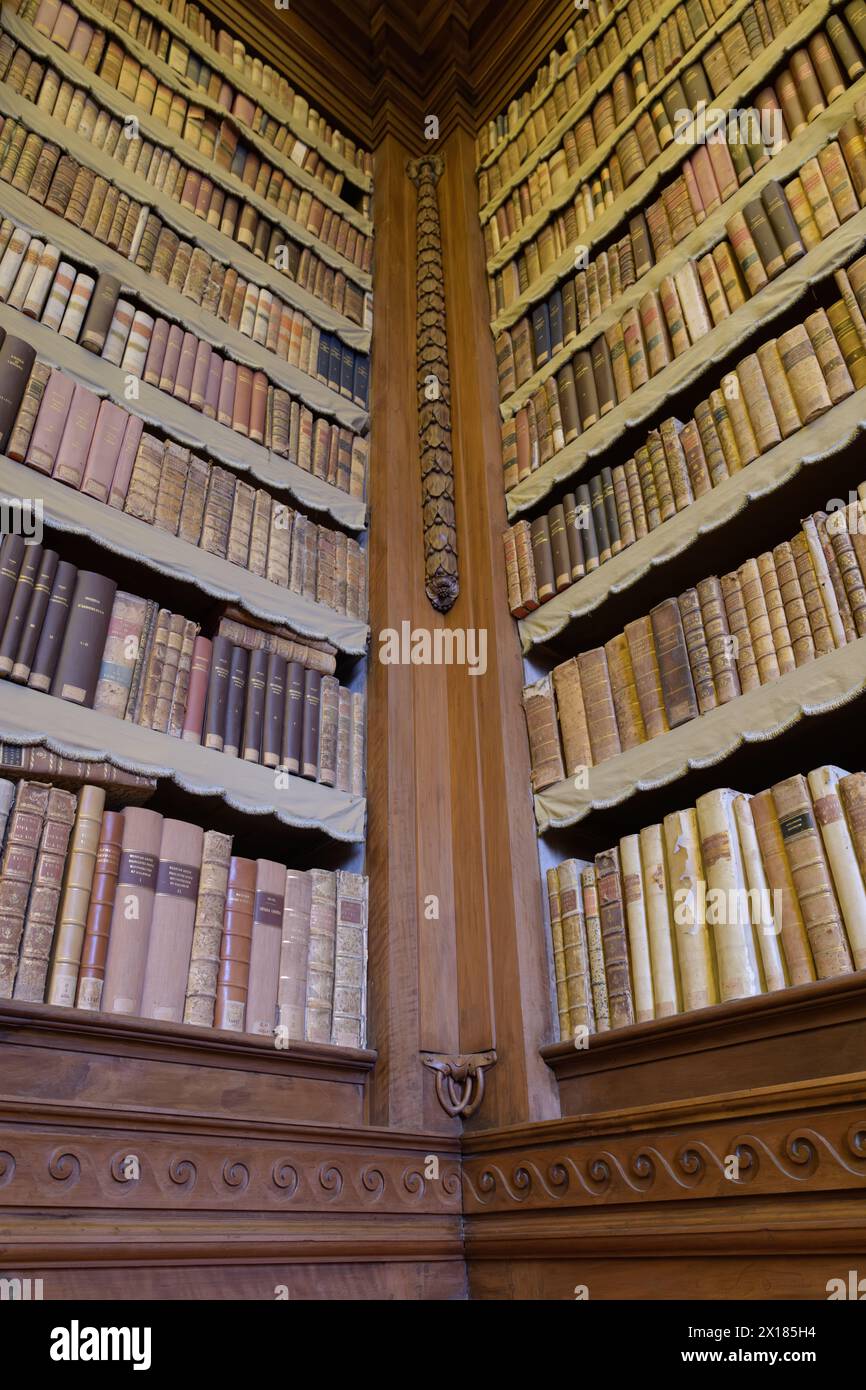 Palatine library hi-res stock photography and images - Alamy