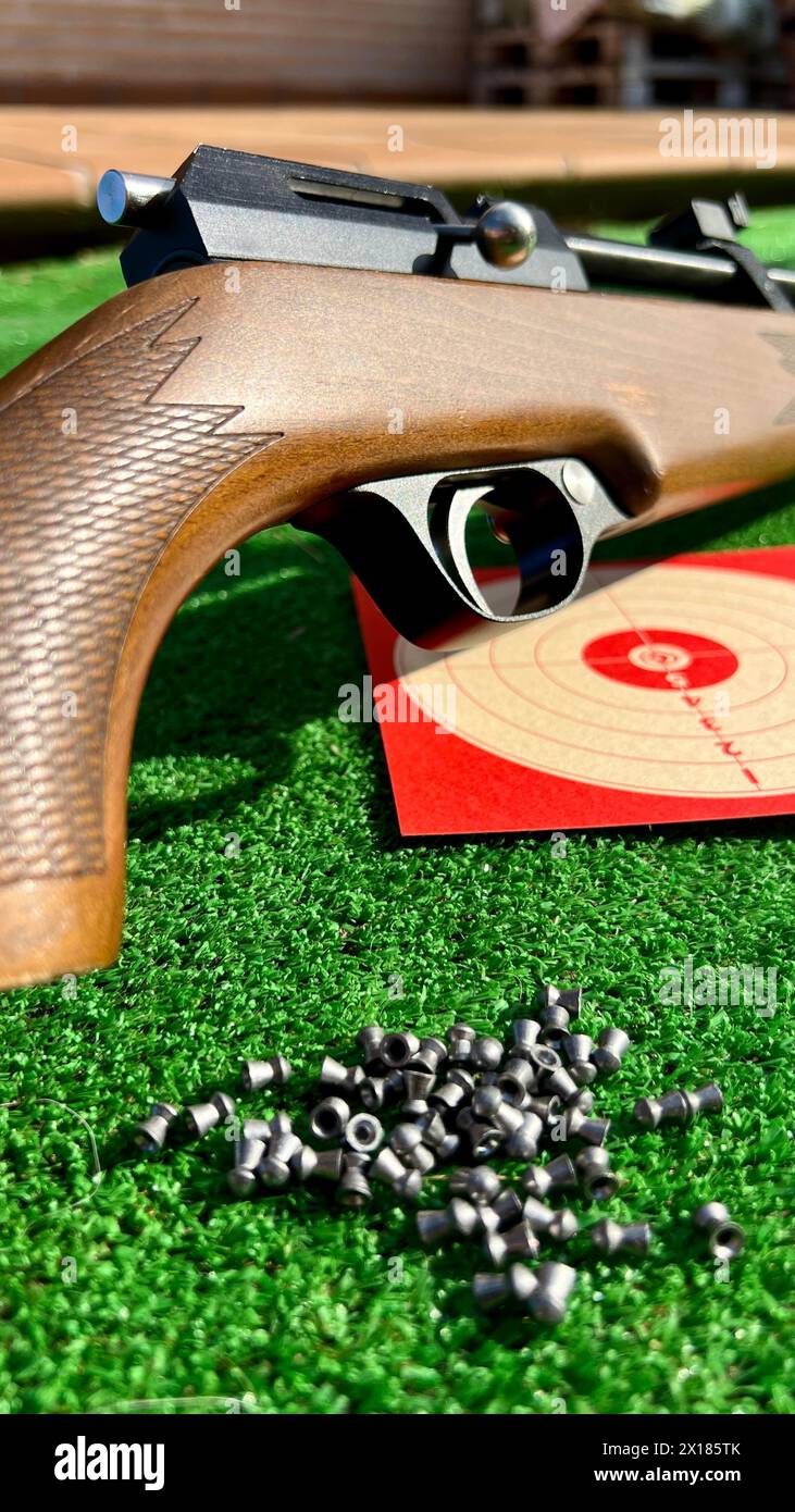 Air rifle for training with its target and its pellets on the grass ...