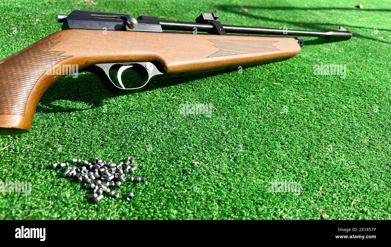 Detail of a shotgun and buckshot on a green background. Illegal hunting ...