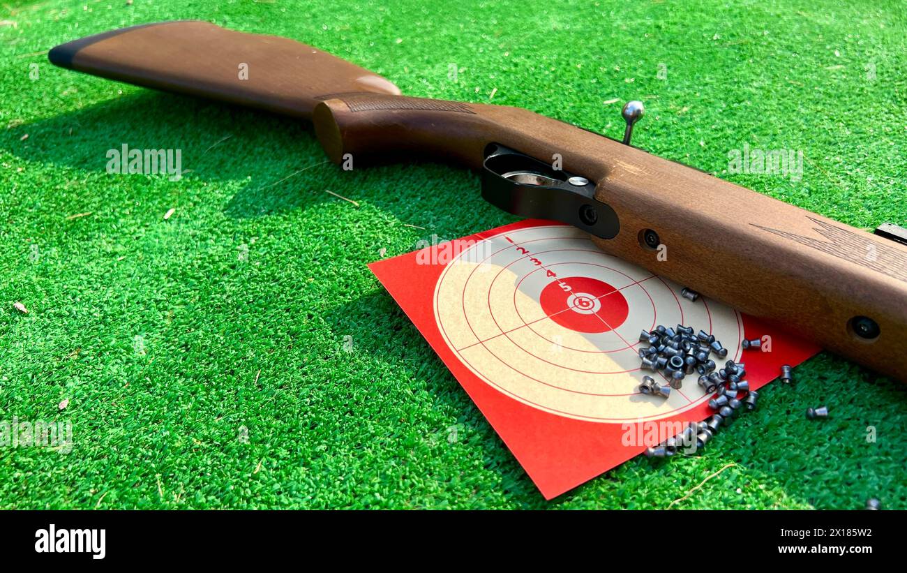 Image of an airsoft gun with pellets and target on a green background ...