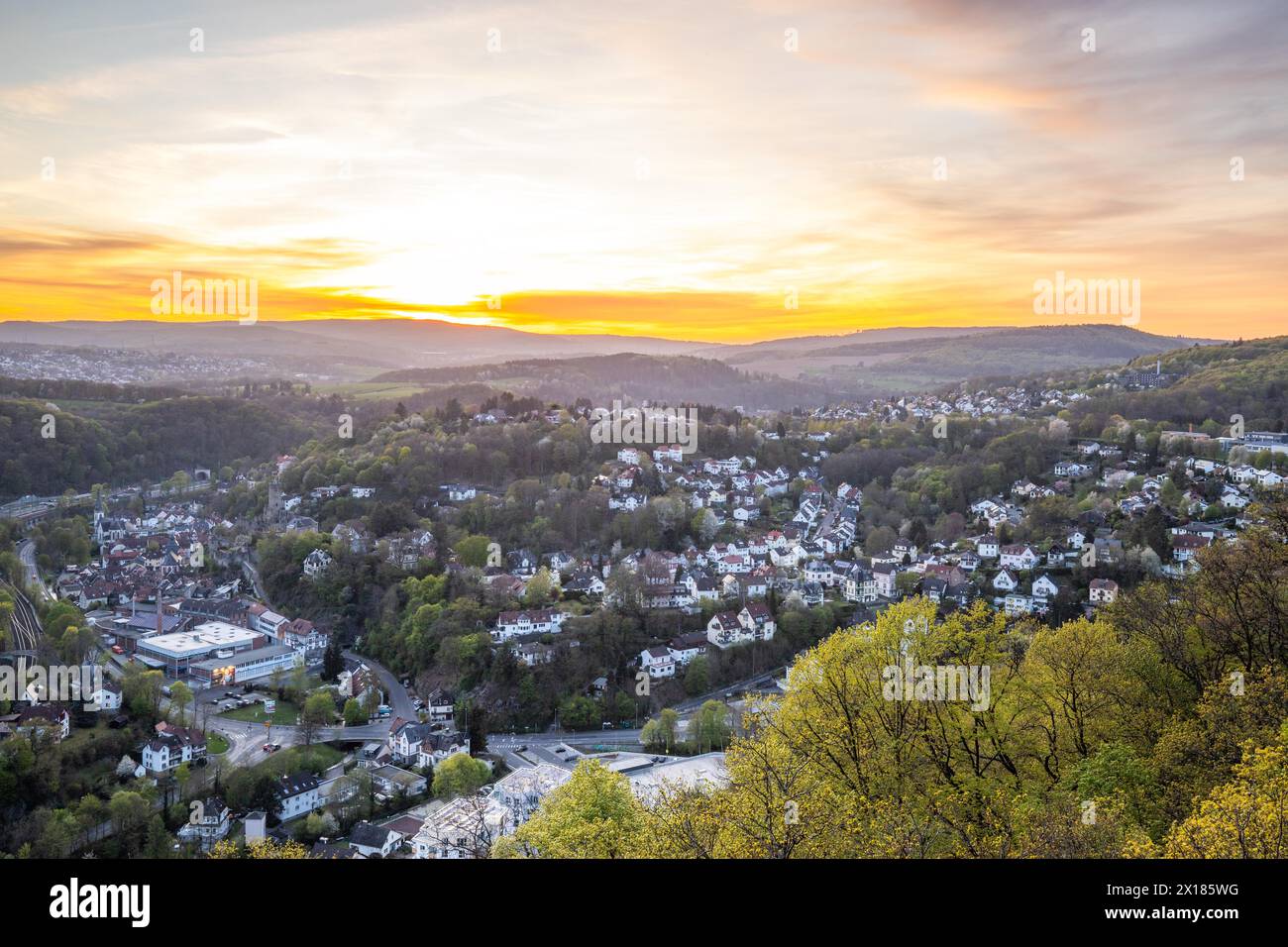 Landscape at sunrise. Beautiful morning environment with fresh green in ...